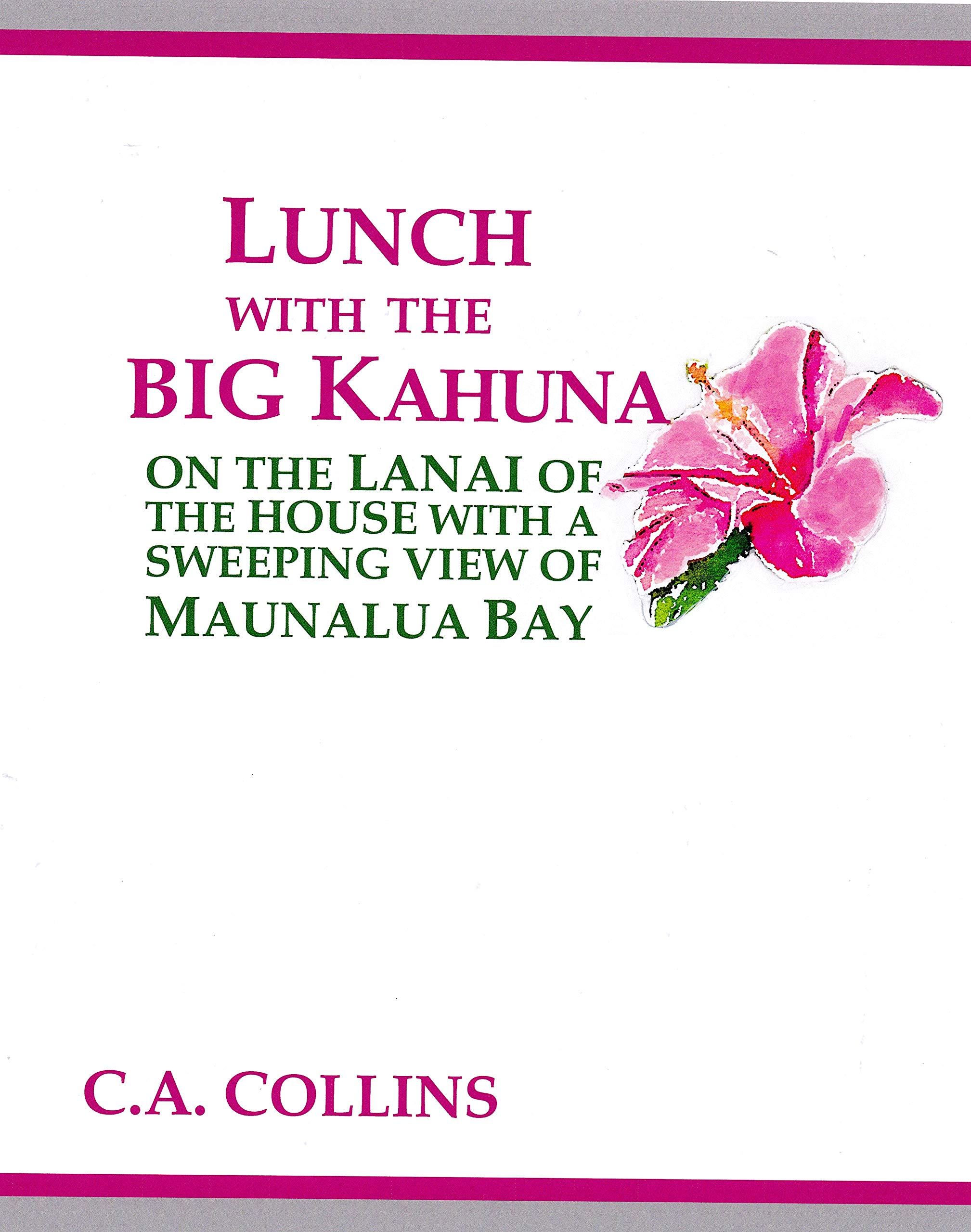 LUNCH WITH THE BIG KAHUNA: On The Lanai of the House with the Sweeping ...