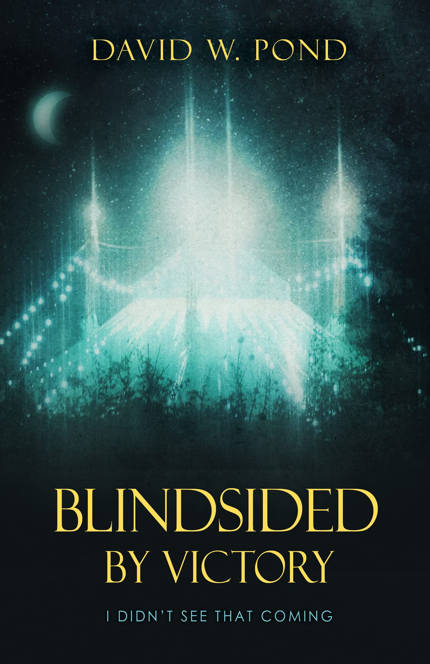Blindsided By Victory: I Didn't See That Coming by DAVID W. POND ...