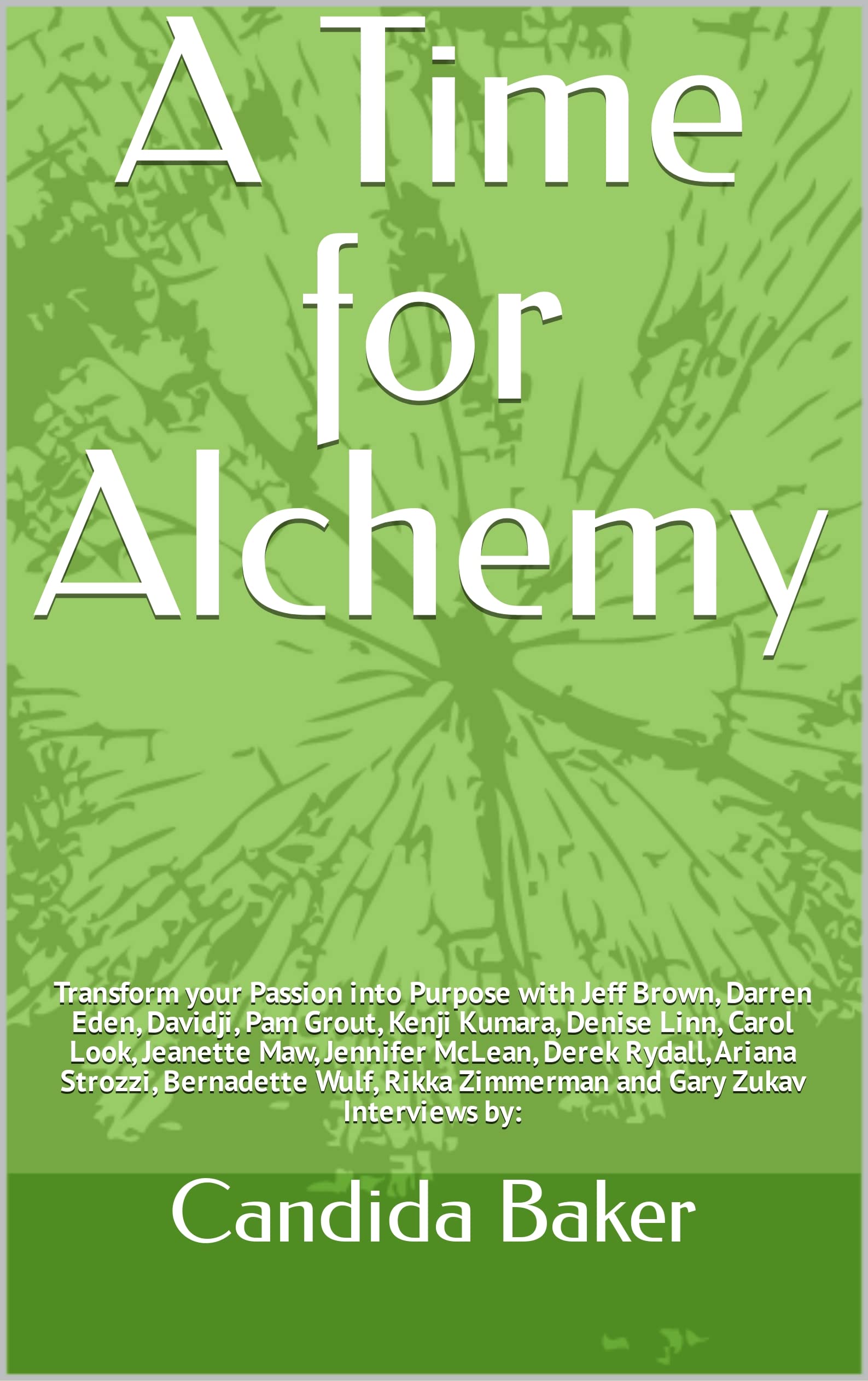 A Time for Alchemy: Transform your Passion into Purpose with Jeff Brown ...