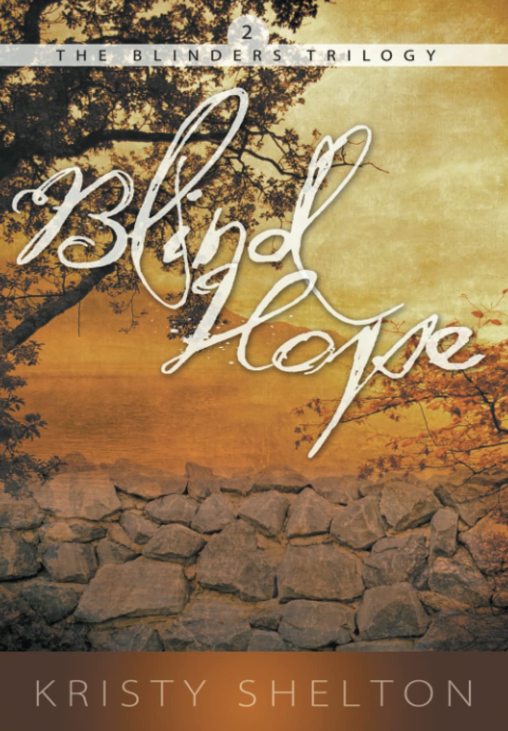 Blind Hope: (Volume 2, Book Club Edition) by Kristy Shelton | Goodreads
