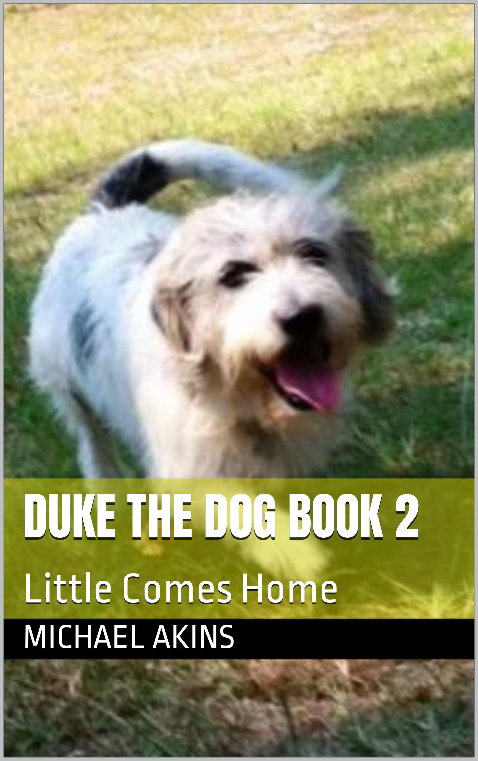 Duke the Dog Book 2: Little Comes Home by Michael Akins | Goodreads