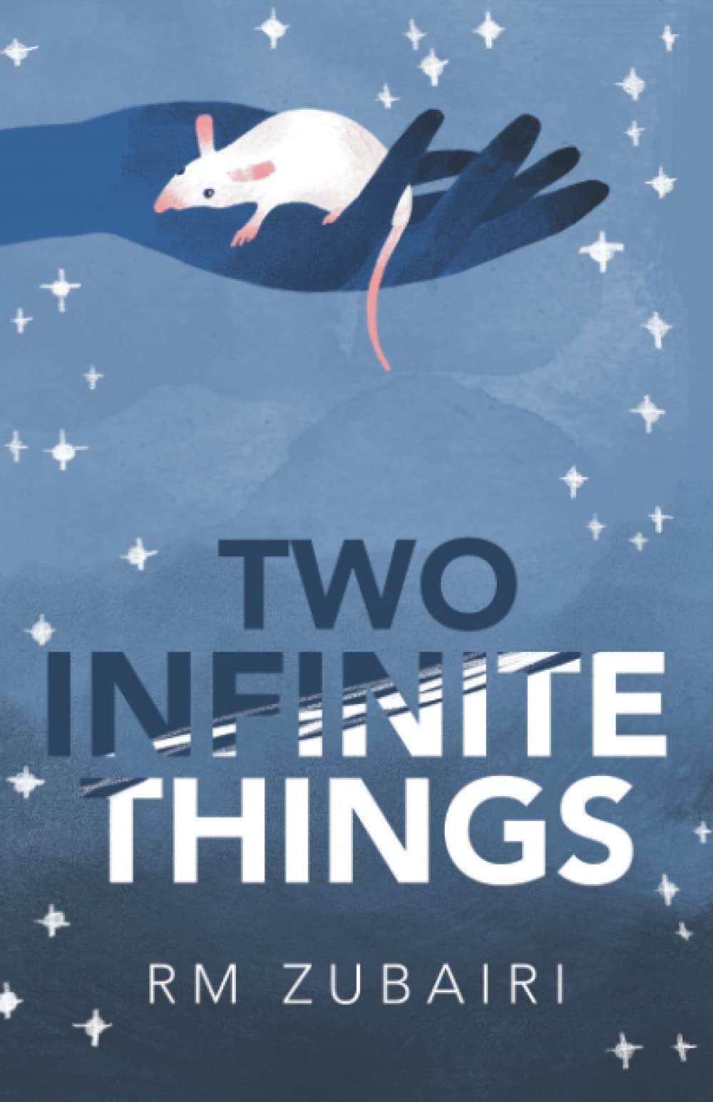 Two Infinite Things (The Infinite Trilogy) by R.M. Zubairi | Goodreads