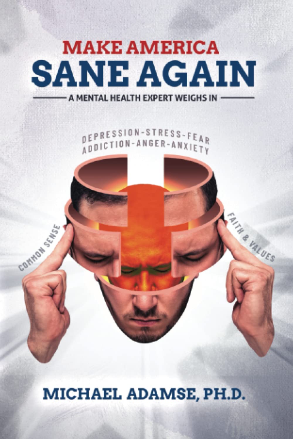 Make America Sane Again: A Mental Health Expert Weighs In by Michael ...