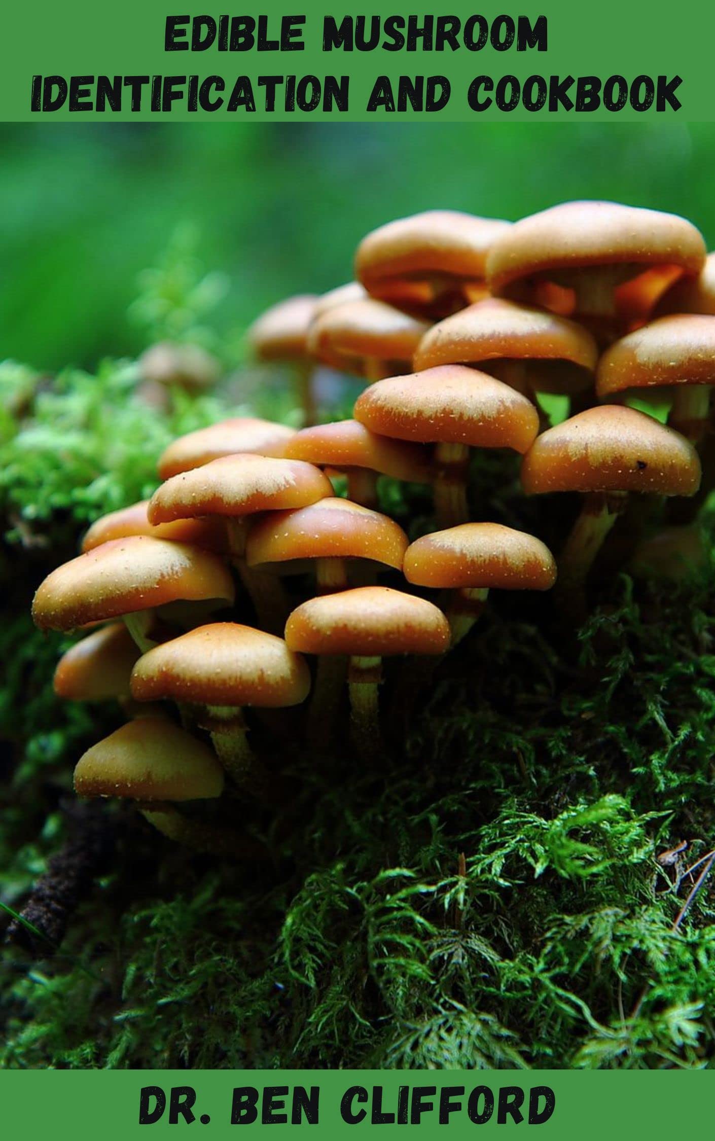 EDIBLE MUSHROOM IDENTIFICATION AND COOKBOOK : Essential guide to ...