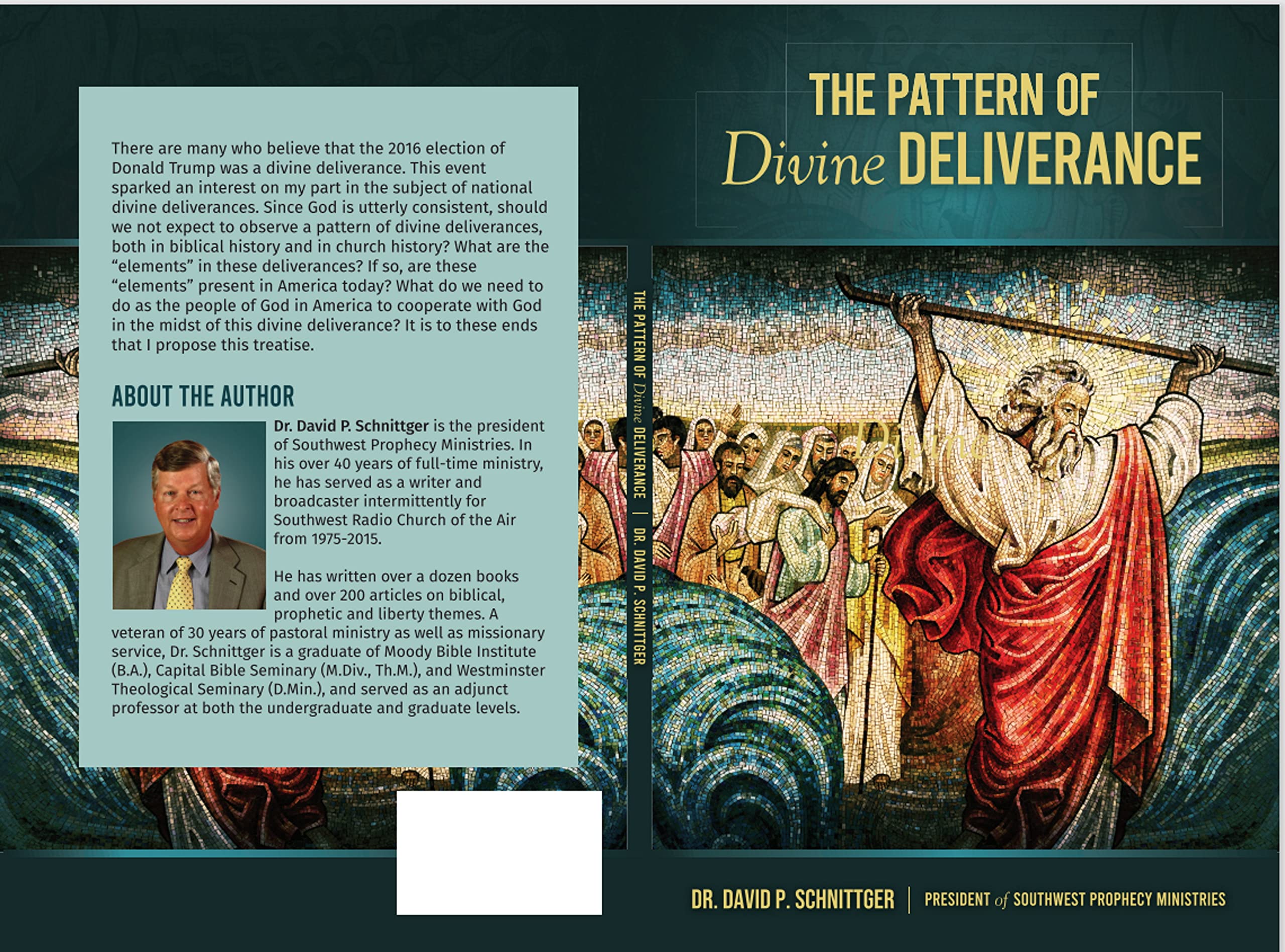 THE PATTERN OF DIVINE DELIVERANCE by David Schnittger | Goodreads