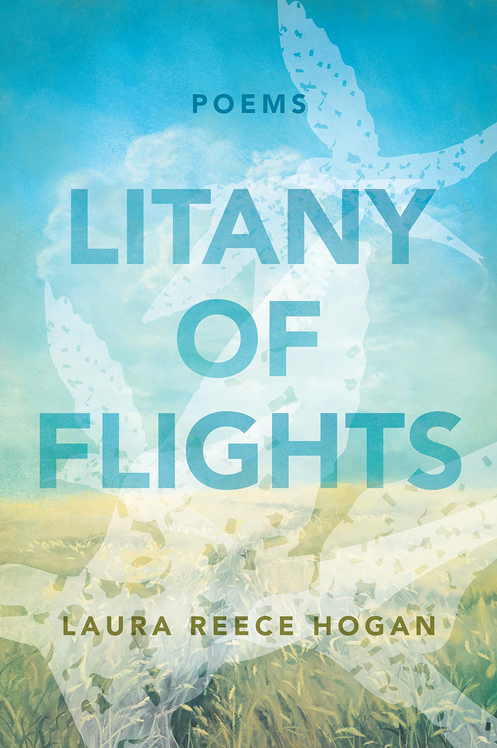 Litany of Flights: Poems by Laura Reece Hogan | Goodreads