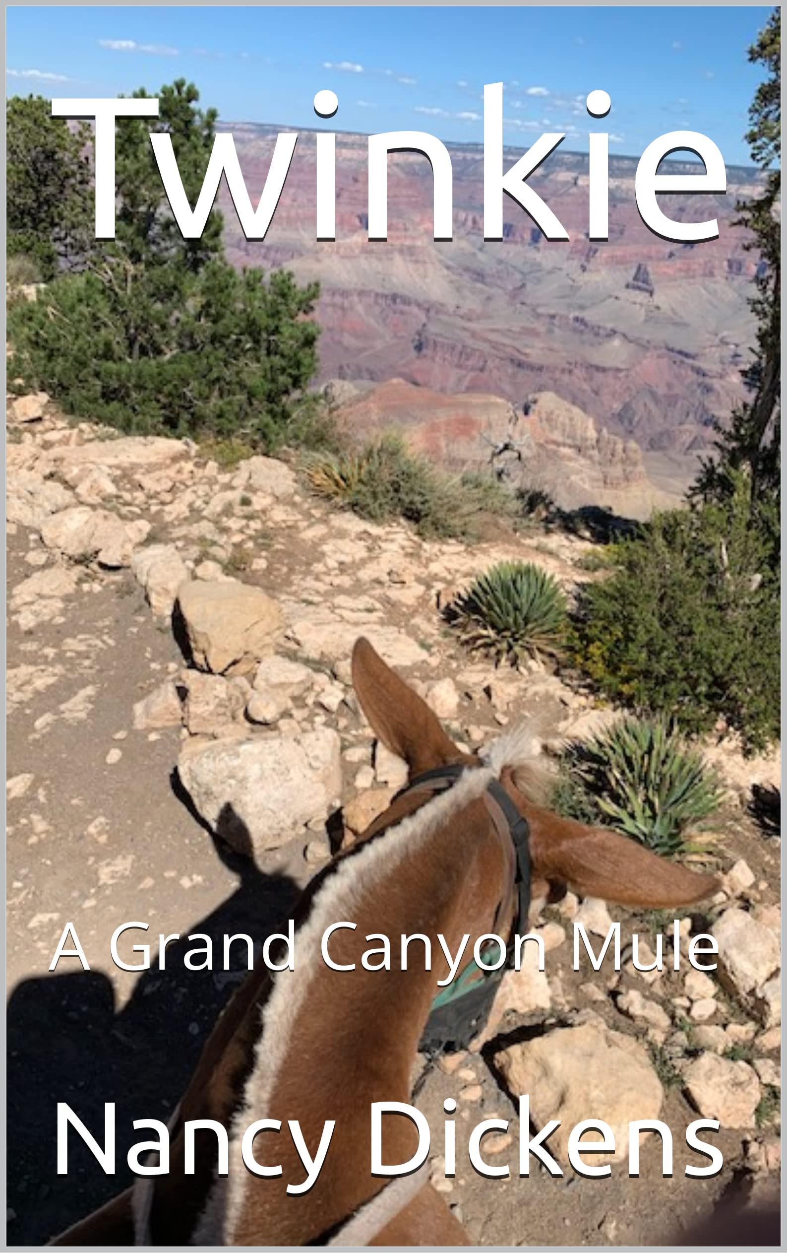 Twinkie: A Grand Canyon Mule by Nancy Dickens | Goodreads