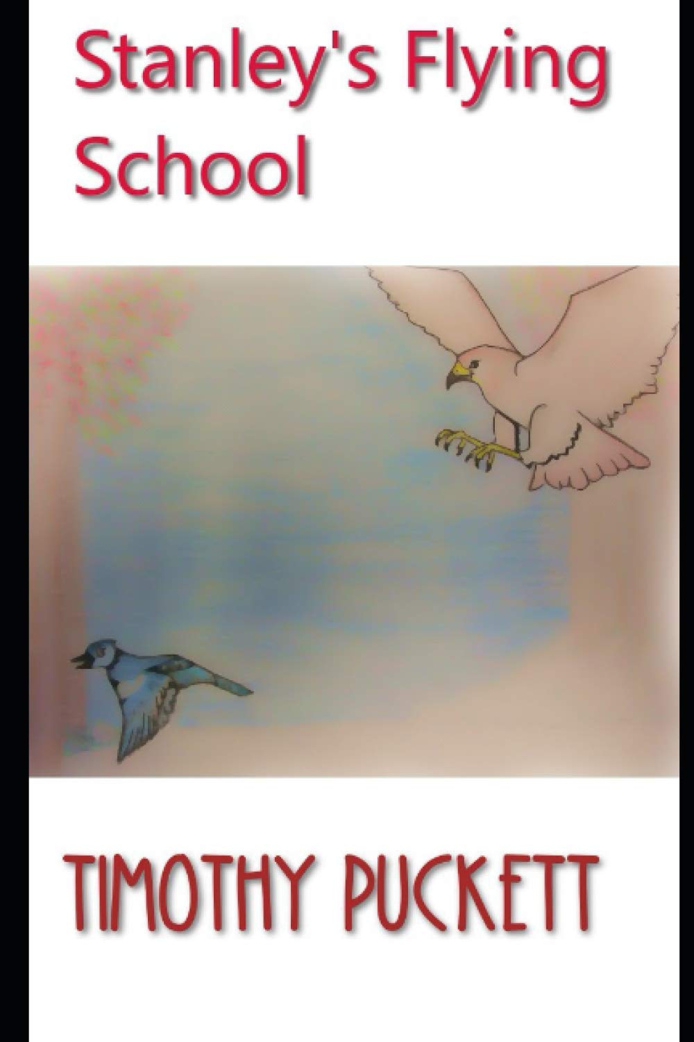 Stanley's Flying School (The Stanley Series) by Timothy Puckett | Goodreads
