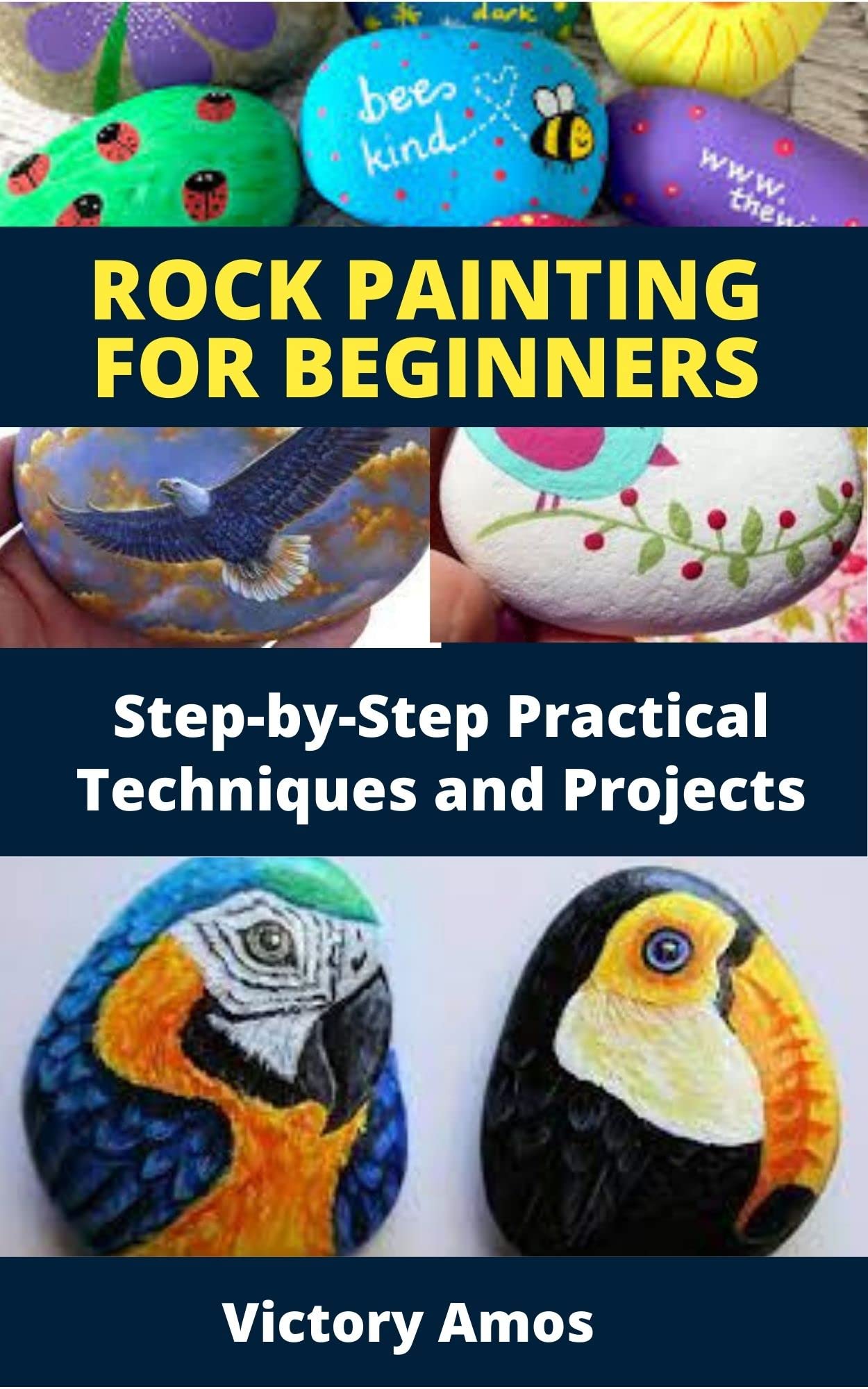 Rock Painting for Beginners: Step-by-Step Practical Techniques and ...