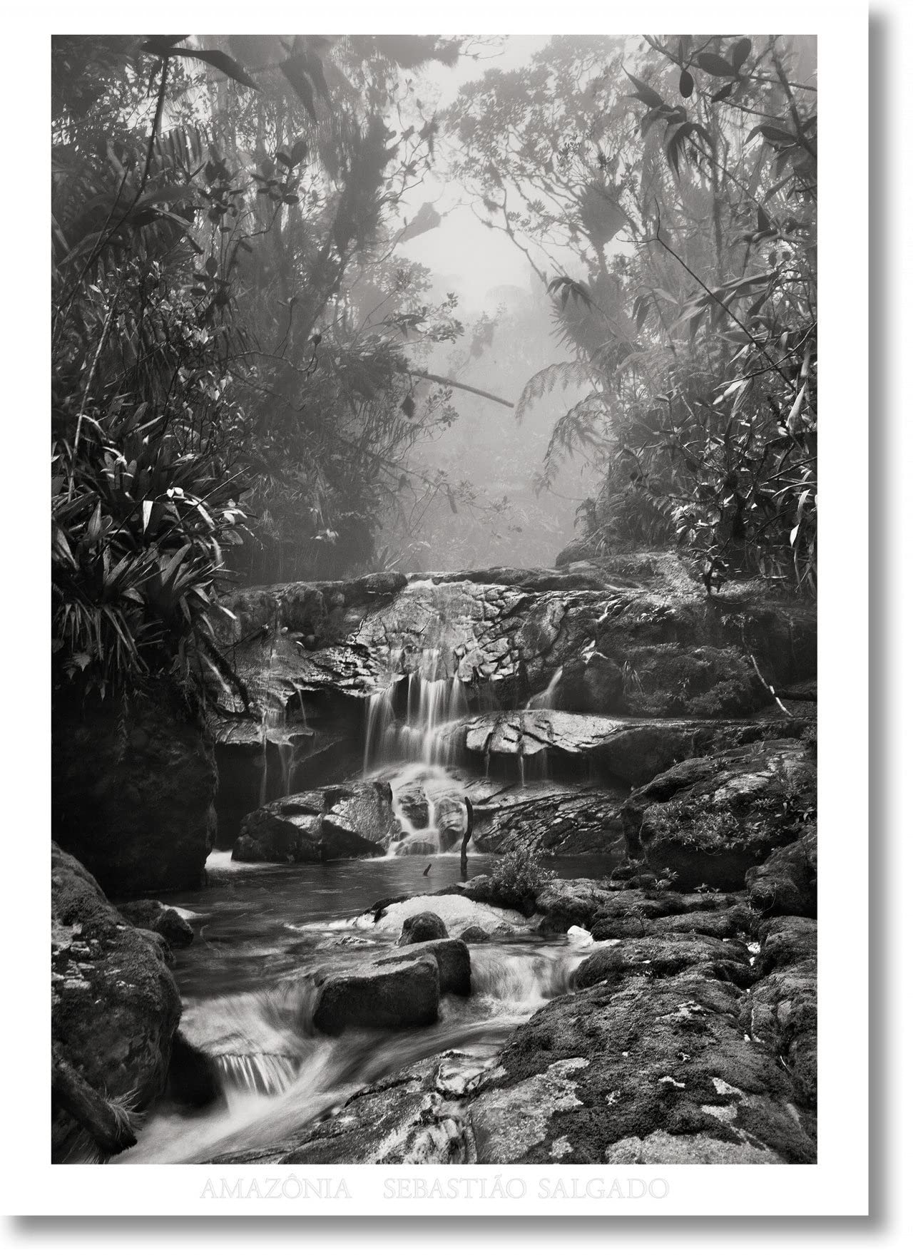 Sebastião Salgado. Amazônia. Poster ‘Creek’ by Taschen | Goodreads