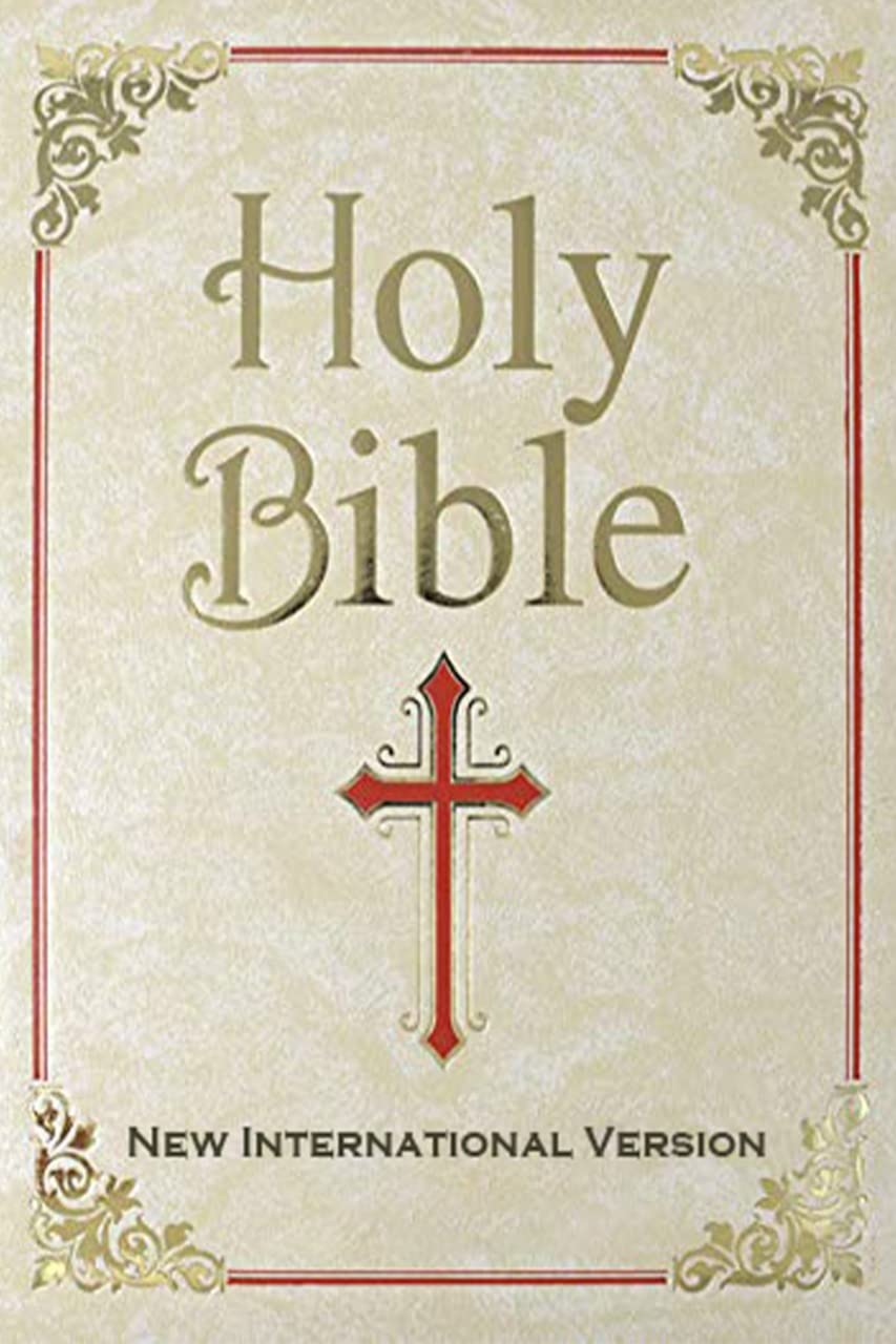 Holy Bible (NIV) : New International Version Edition by Anonymous ...