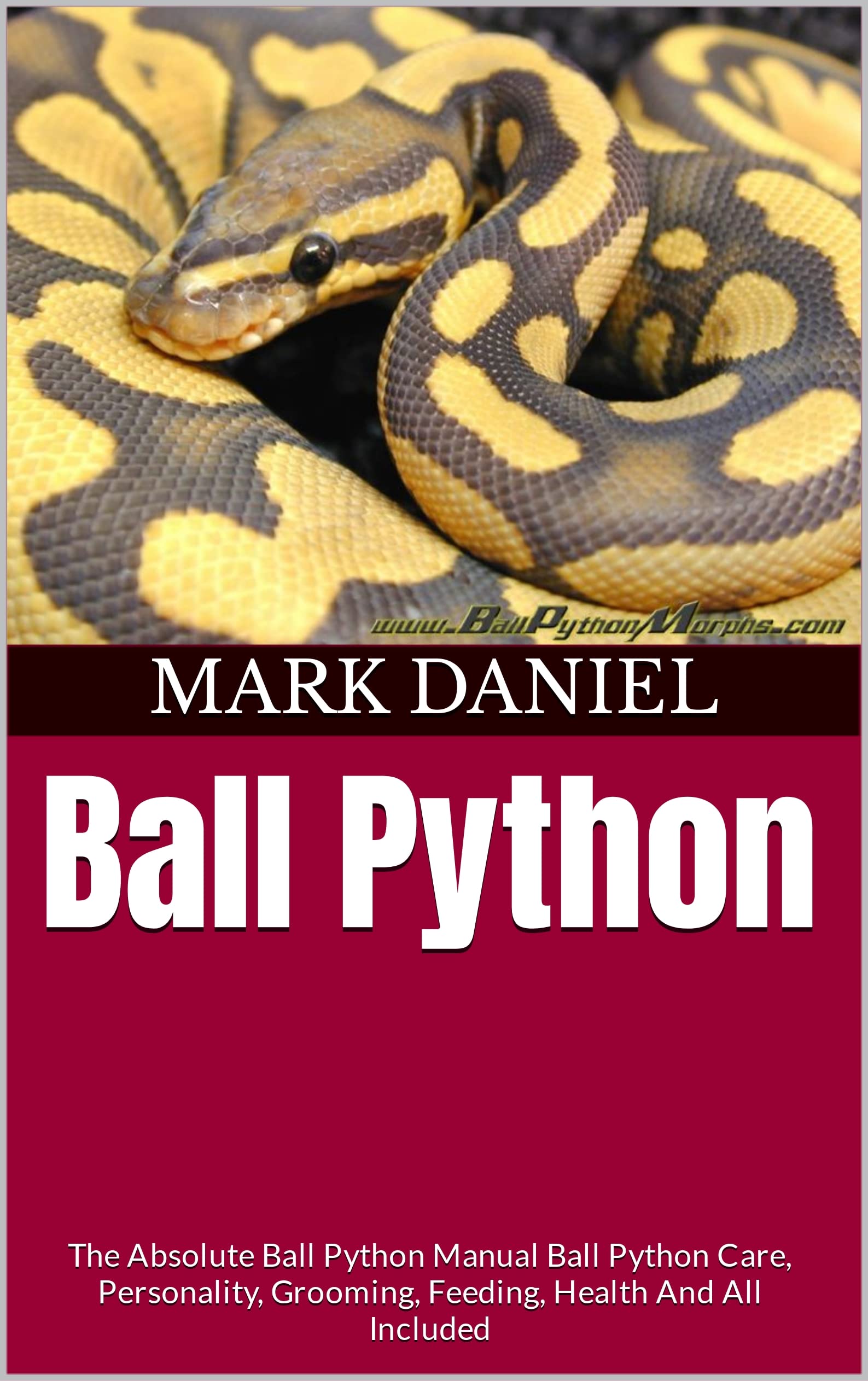 Ball Python : The Absolute Ball Python Manual Ball Python Care ...