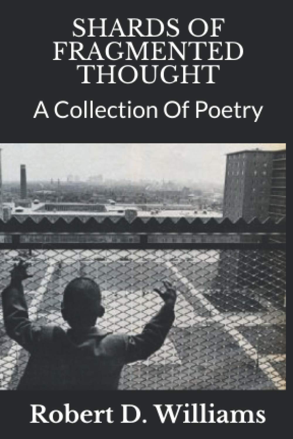 Shards of fragmented thoughts: A collection of poetry by Robert D ...