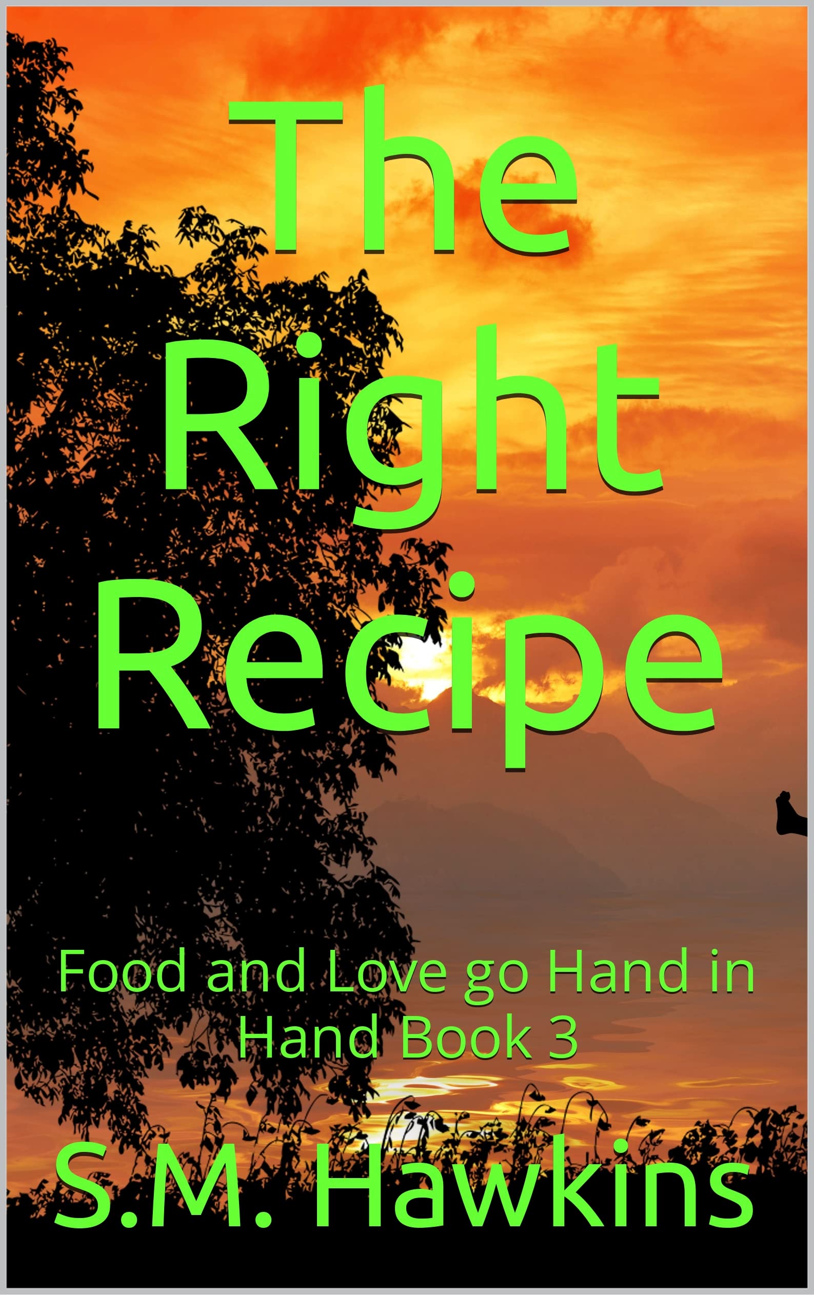 The Right Recipe: Food and Love go Hand in Hand Book 3 by S.M. Hawkins ...