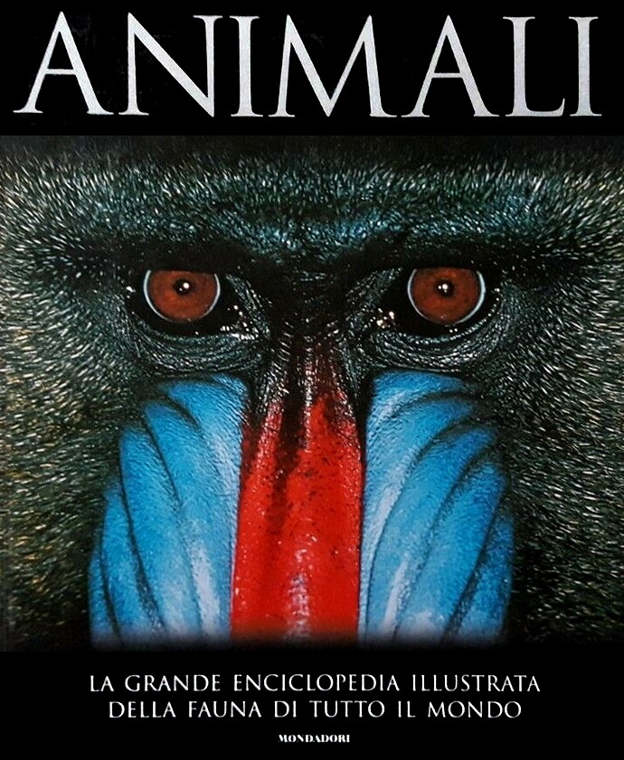 Animali. La grande enciclopedia illustrata della fauna di tutto il ...