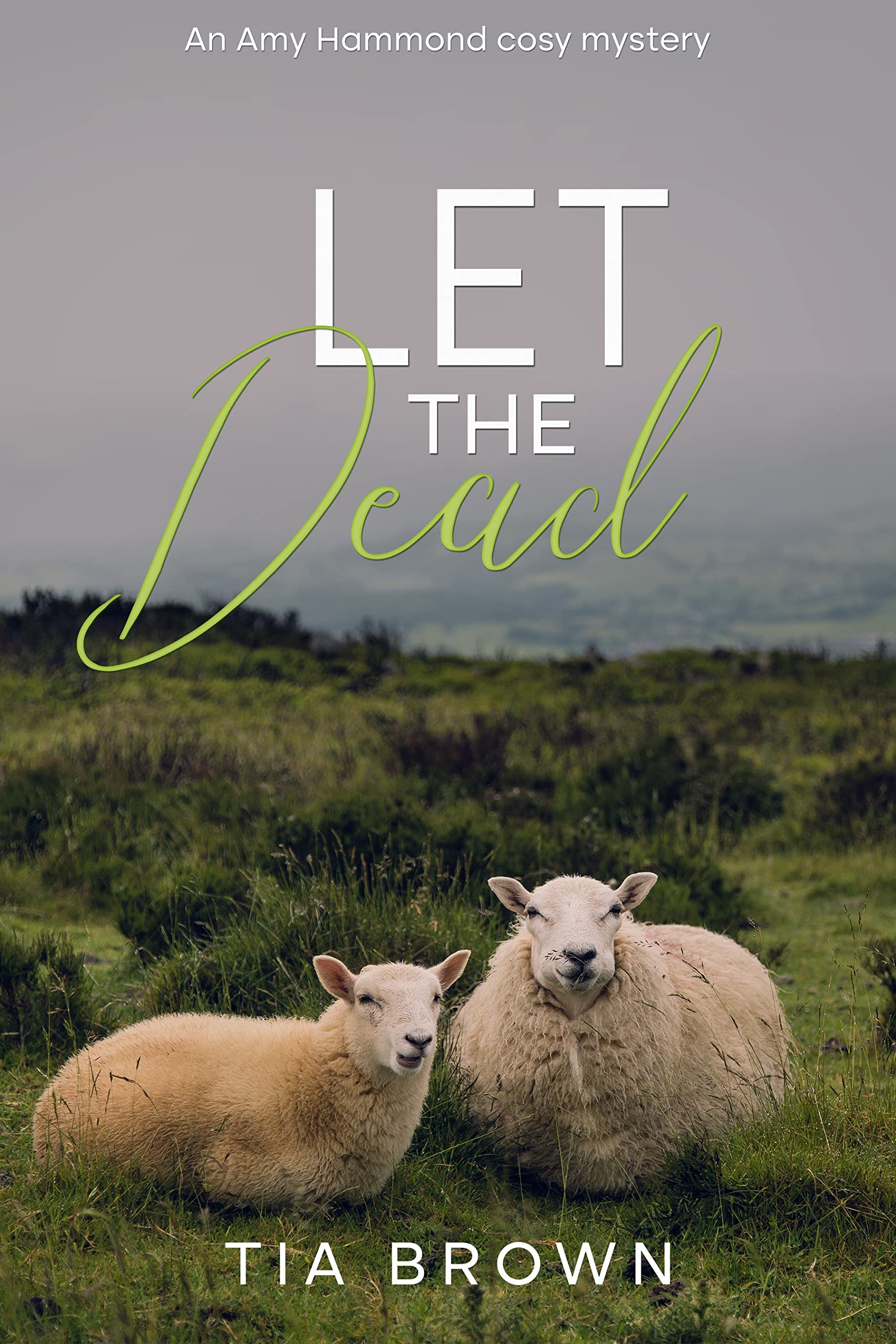 Let the Dead (Amy Hammond Book 7) by Tia Brown | Goodreads