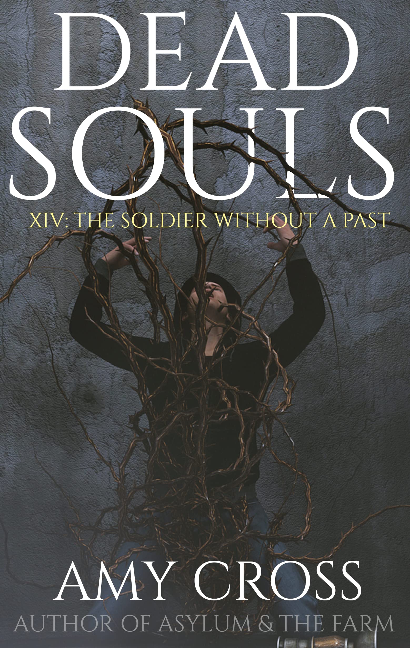 The Soldier Without a Past (Dead Souls Book 14) by Amy Cross | Goodreads