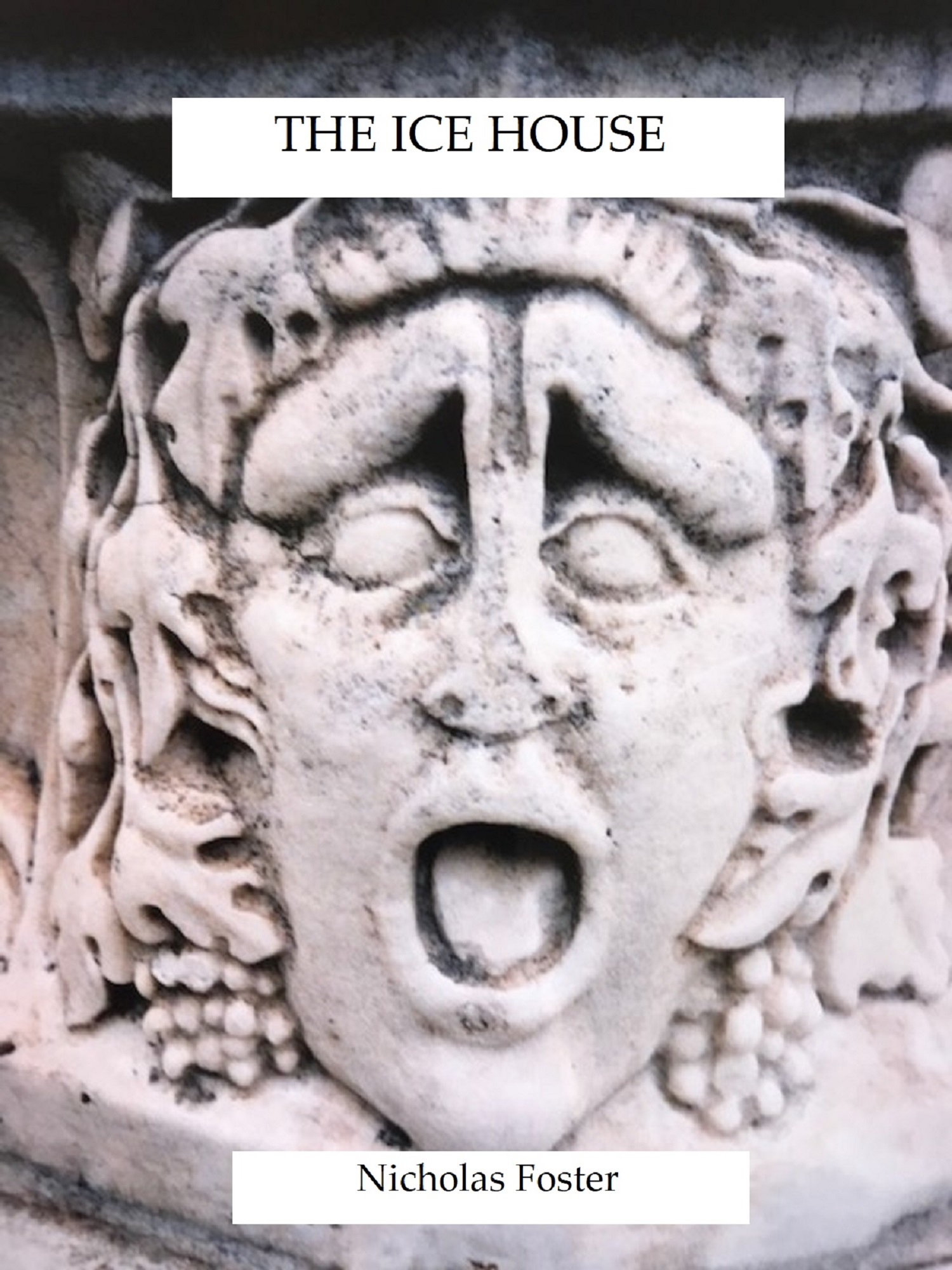 The Ice House by Nicholas Foster | Goodreads