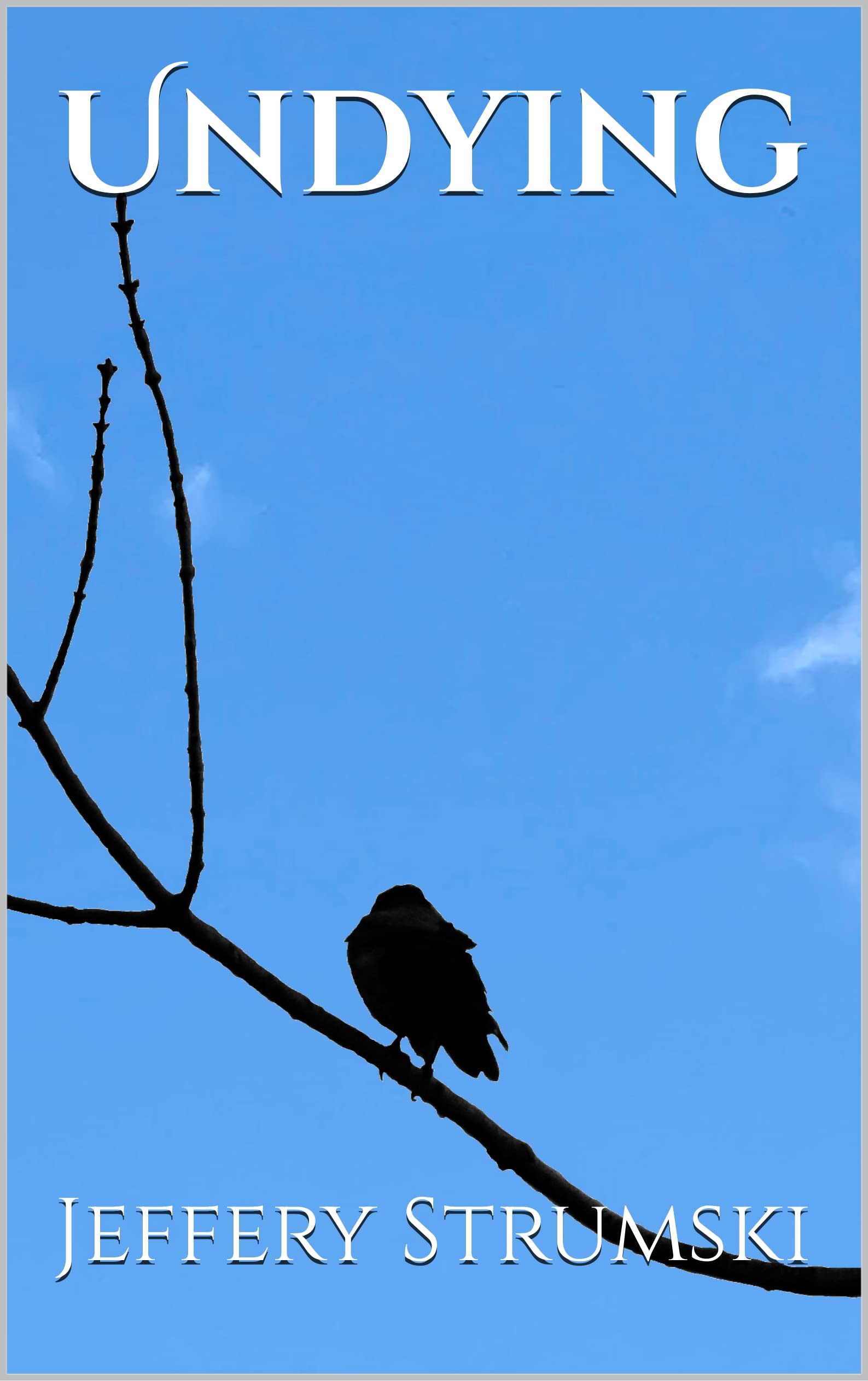 Undying by Jeffery Strumski | Goodreads