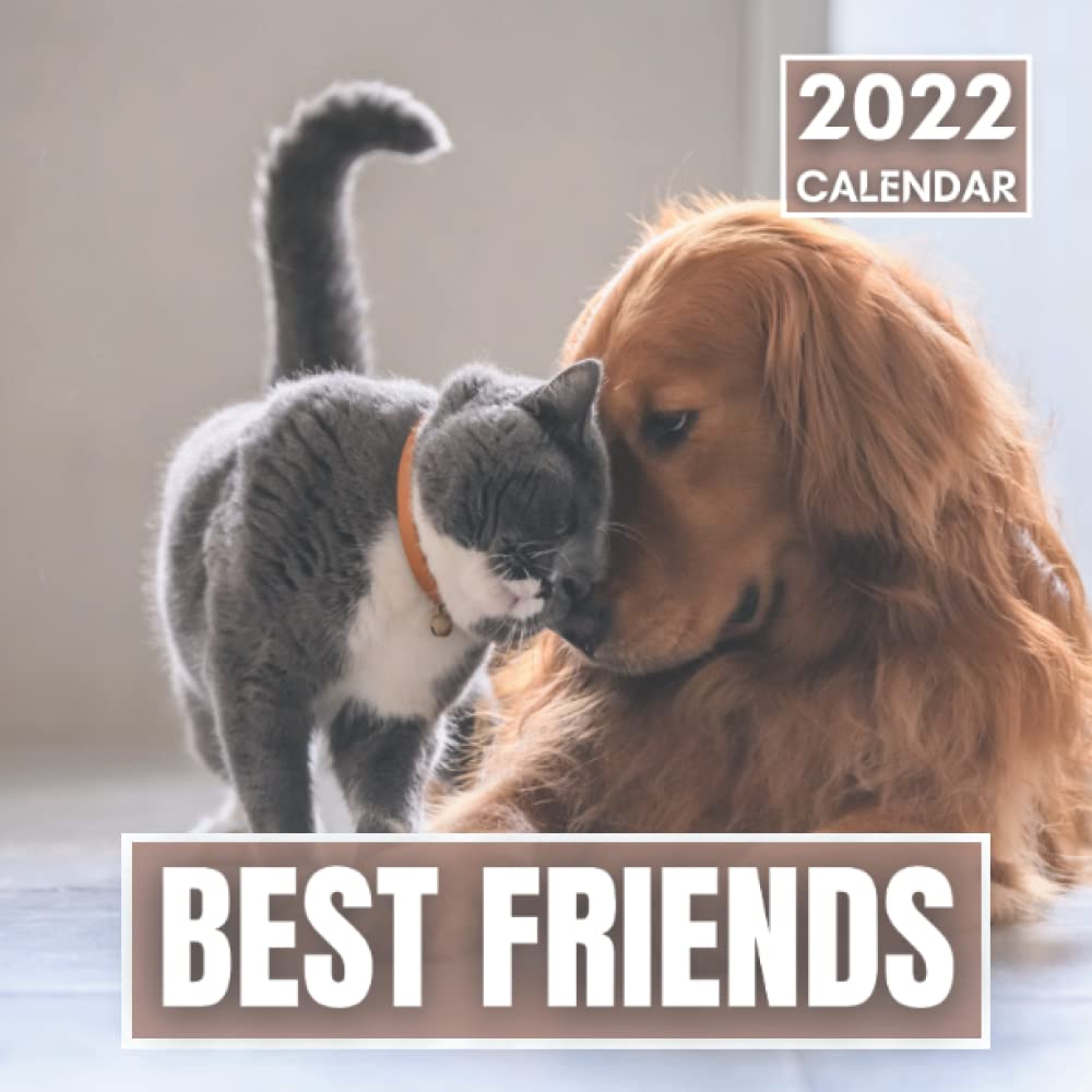 Best Friends Calendar 2022: Beautiful Puppy Photos Perfect for Adults ...