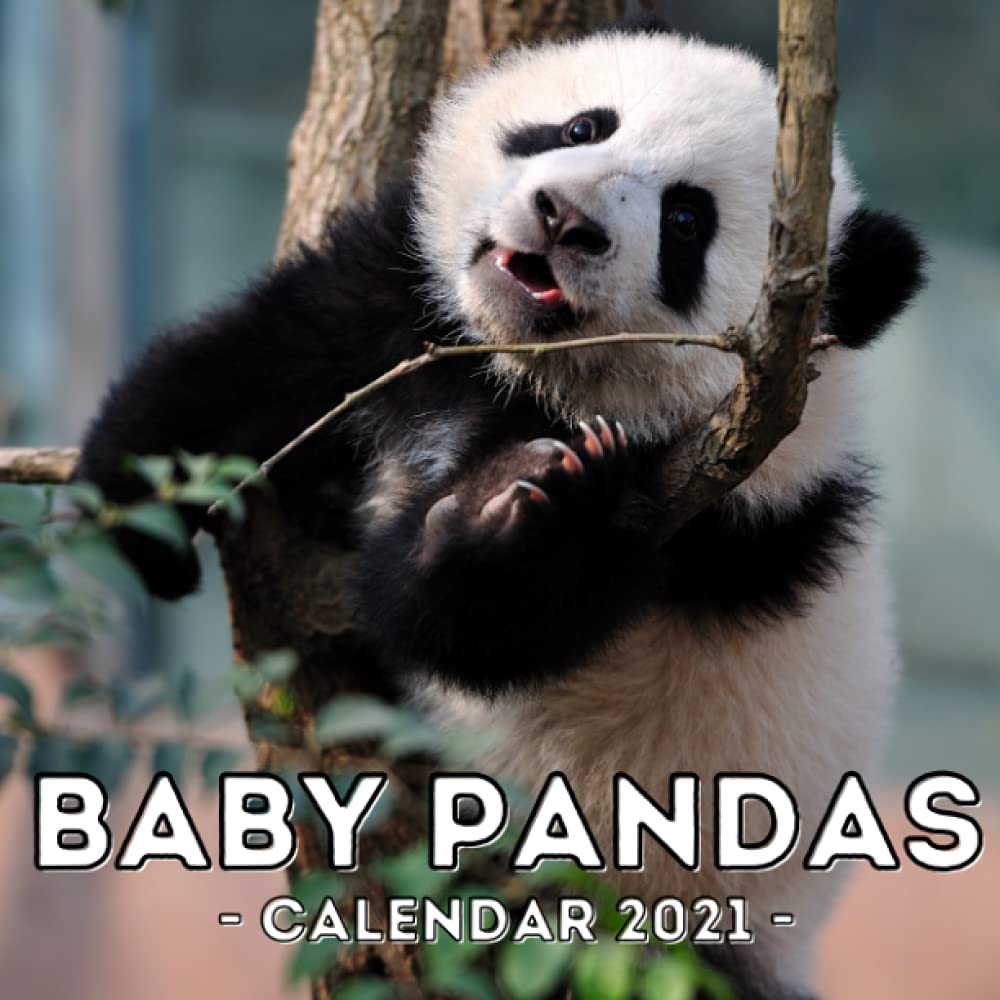 Baby Pandas 2021 Calendar: Cute Gift Idea For Panda Lovers Men And ...
