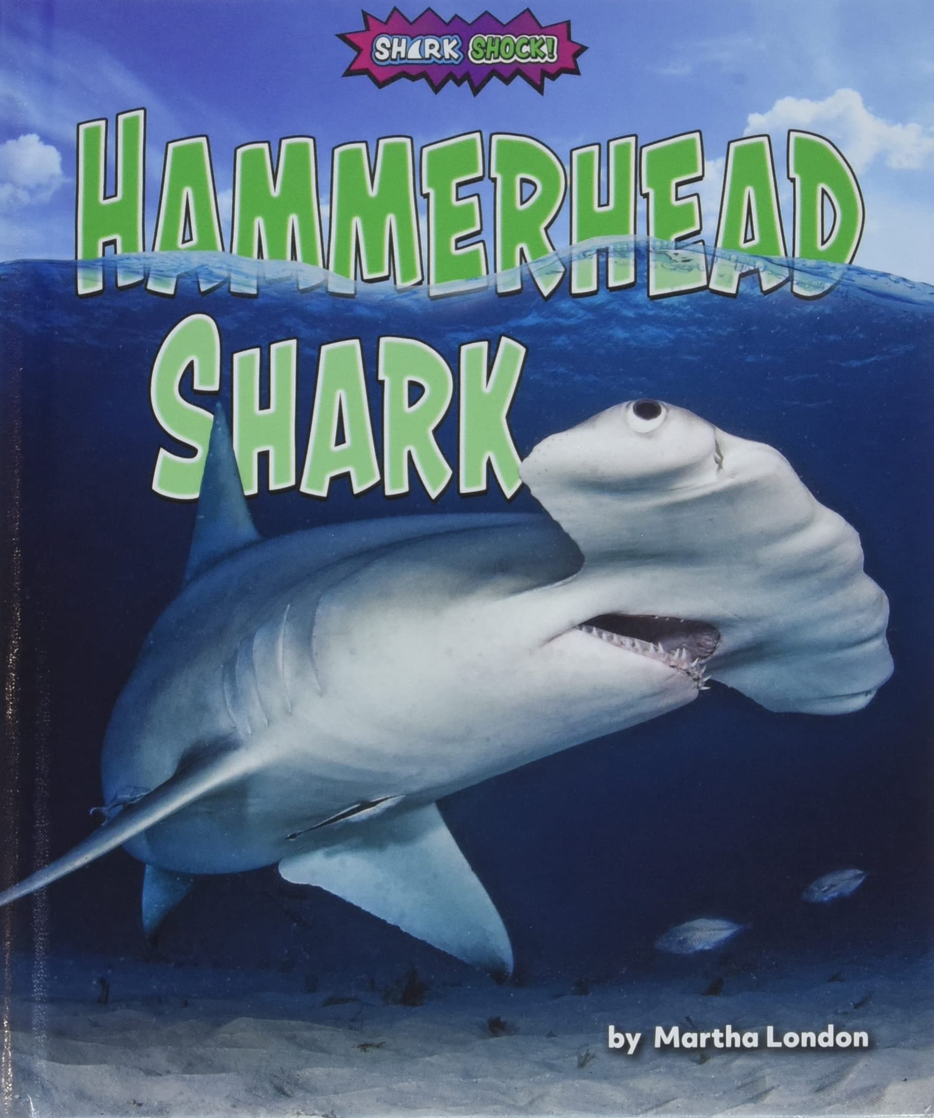 Hammerhead Shark - Non-Fiction Reading for Grade 3, Developmental ...