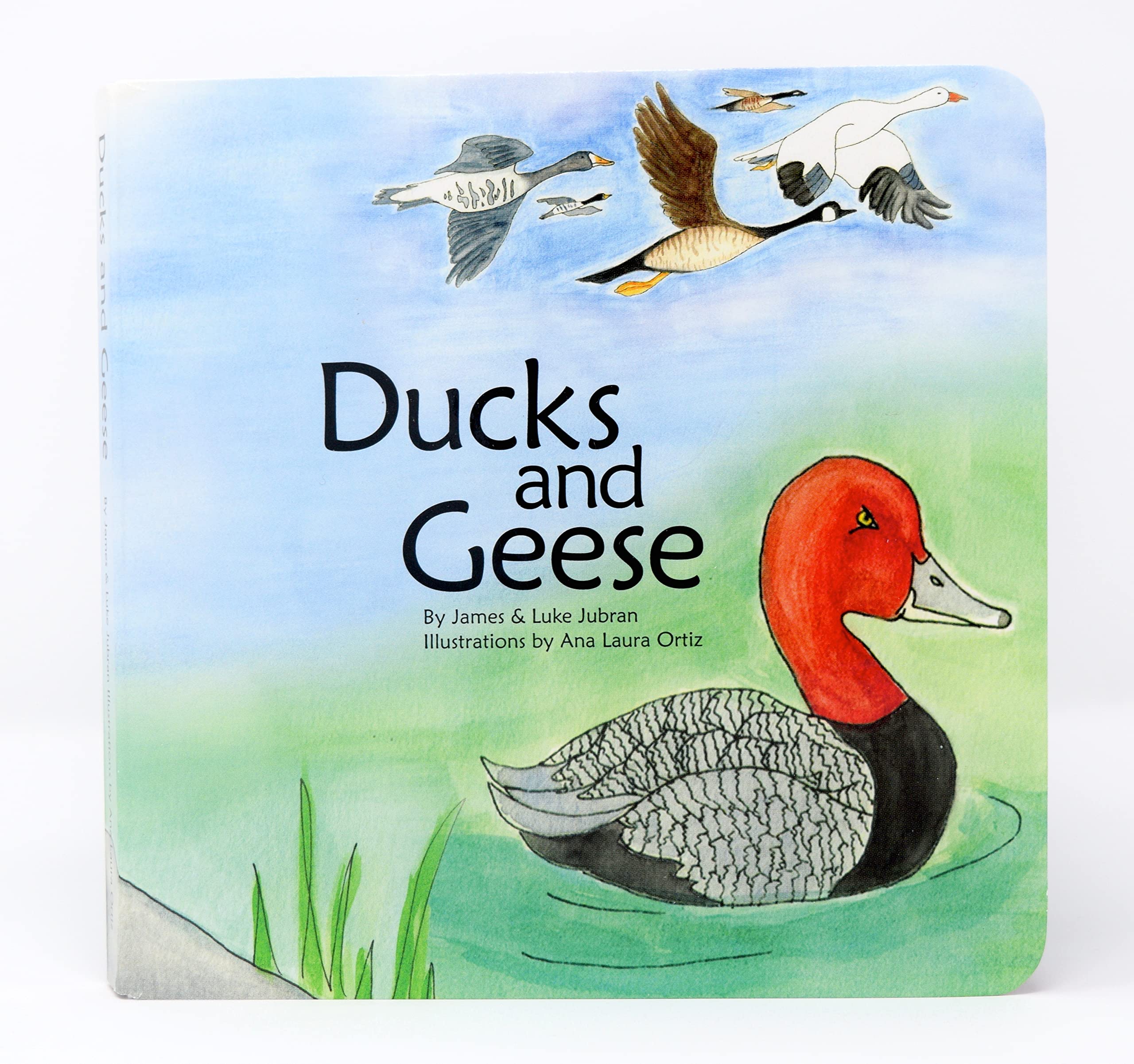 Ducks and Geese: Board Book, Wildlife, Animals, Conservation, Smile ...
