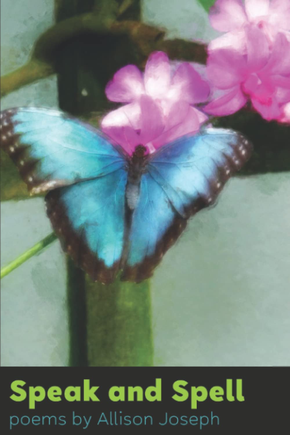 Speak and Spell: poems by Allison Joseph by Allison Joseph | Goodreads