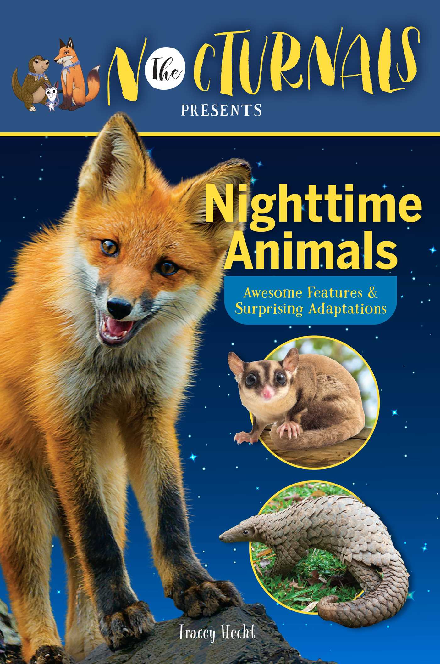 The Nocturnals Nighttime Animals: Awesome Features & Surprising ...