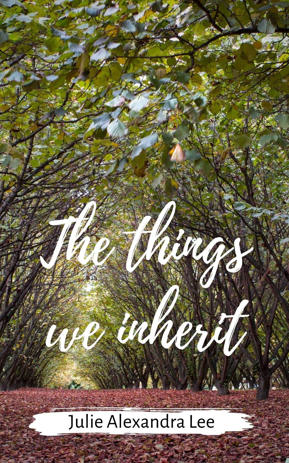 The things we inherit by Julie Alexandra Lee | Goodreads