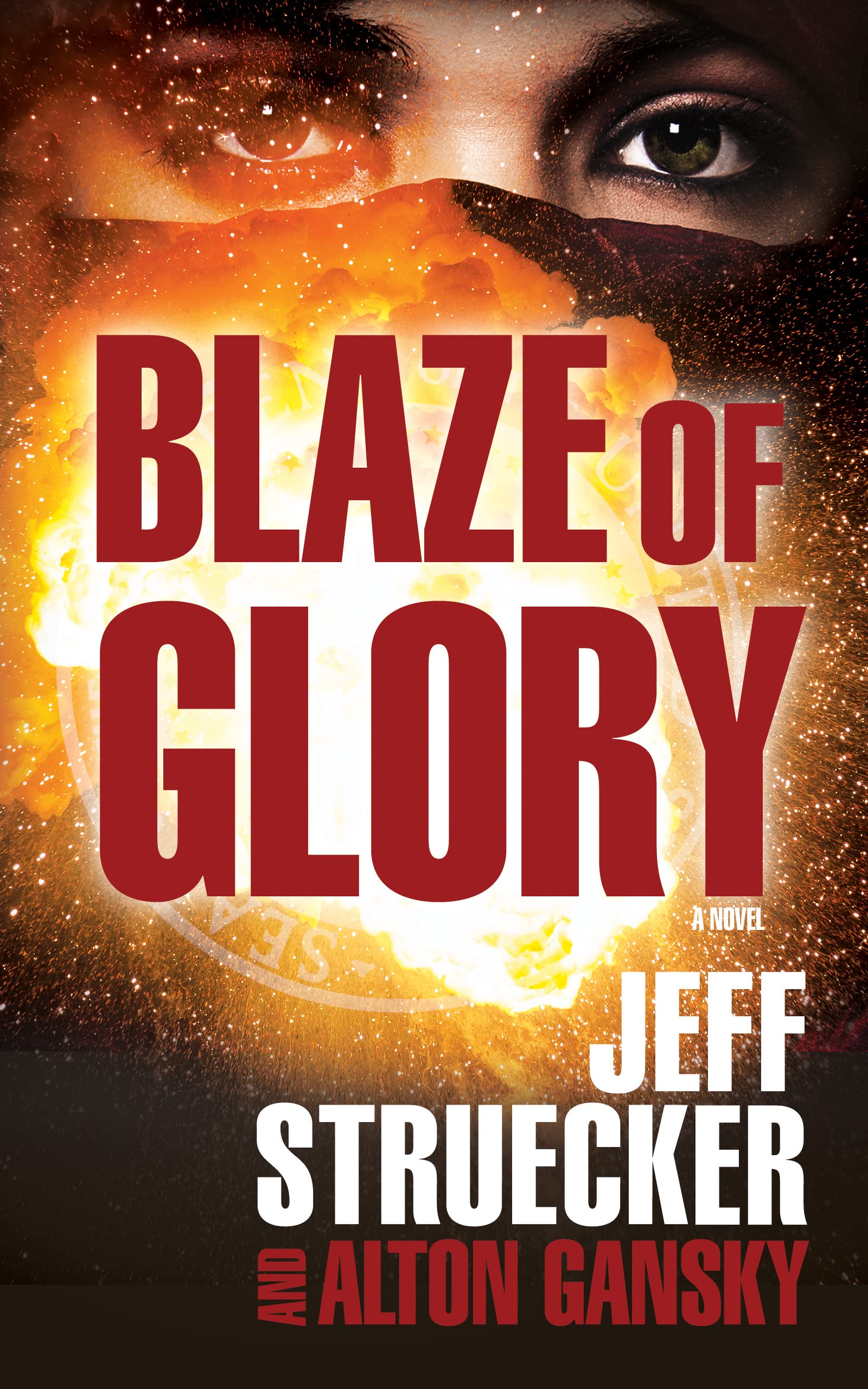 Blaze of Glory: A Novel by Jeff Struecker | Goodreads