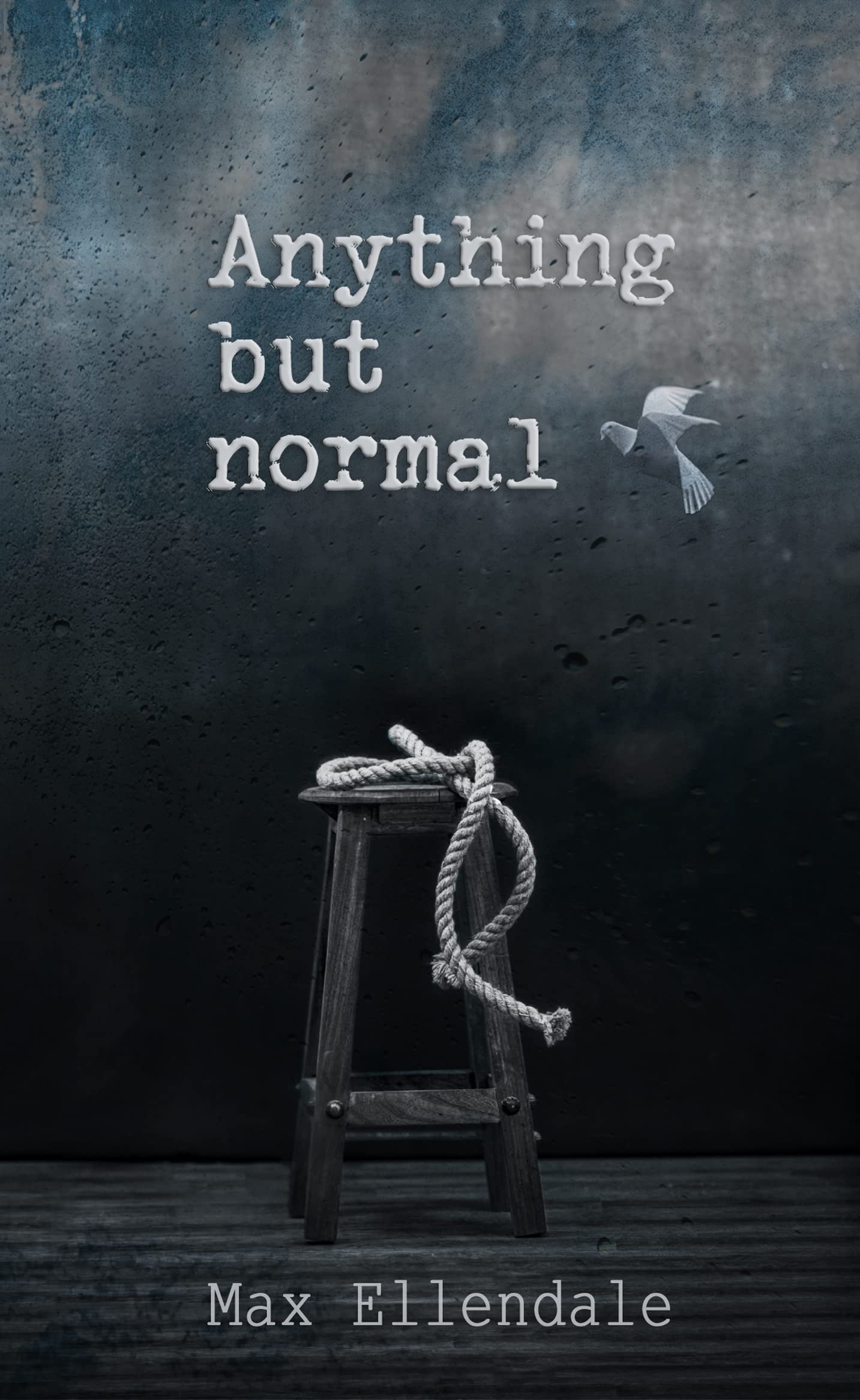 Anything but Normal by Max Ellendale | Goodreads