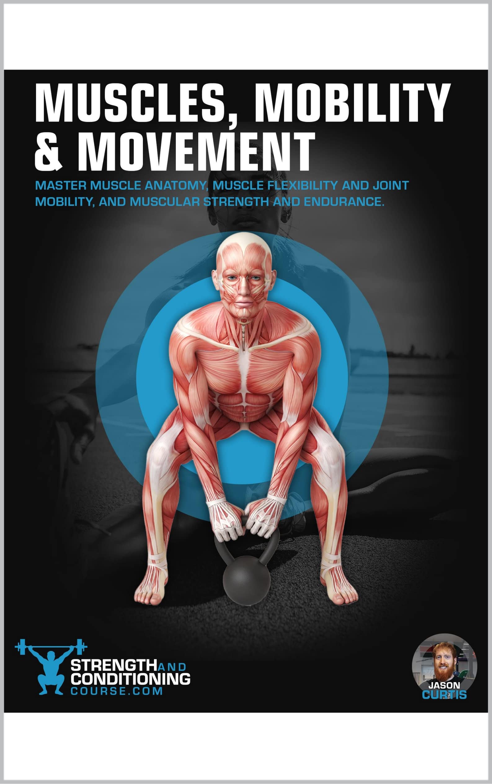 MUSCLES, MOBILITY & MOVEMENT: MASTER MUSCLE ANATOMY, MUSCLE FLEXIBILITY ...
