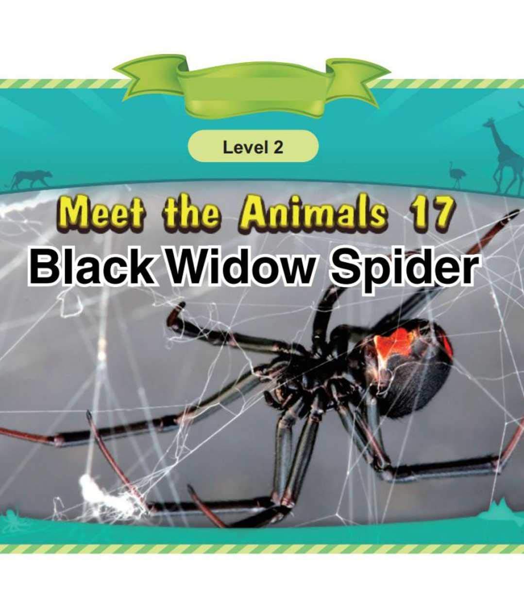 Black Widow Spider: Children s puzzle picture book by Evelyn Fisher ...