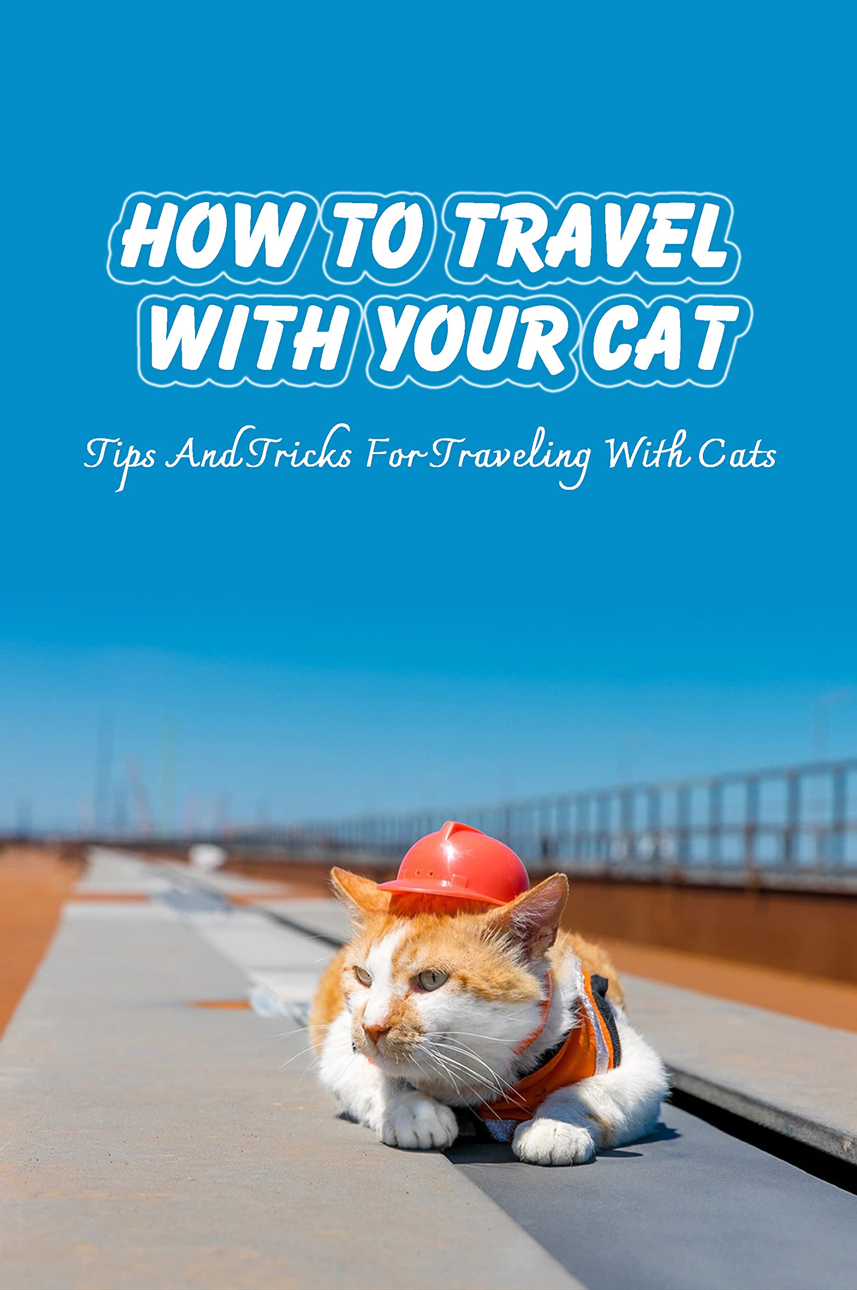 How To Travel With Your Cat: Tips And Tricks For Traveling With Cats ...