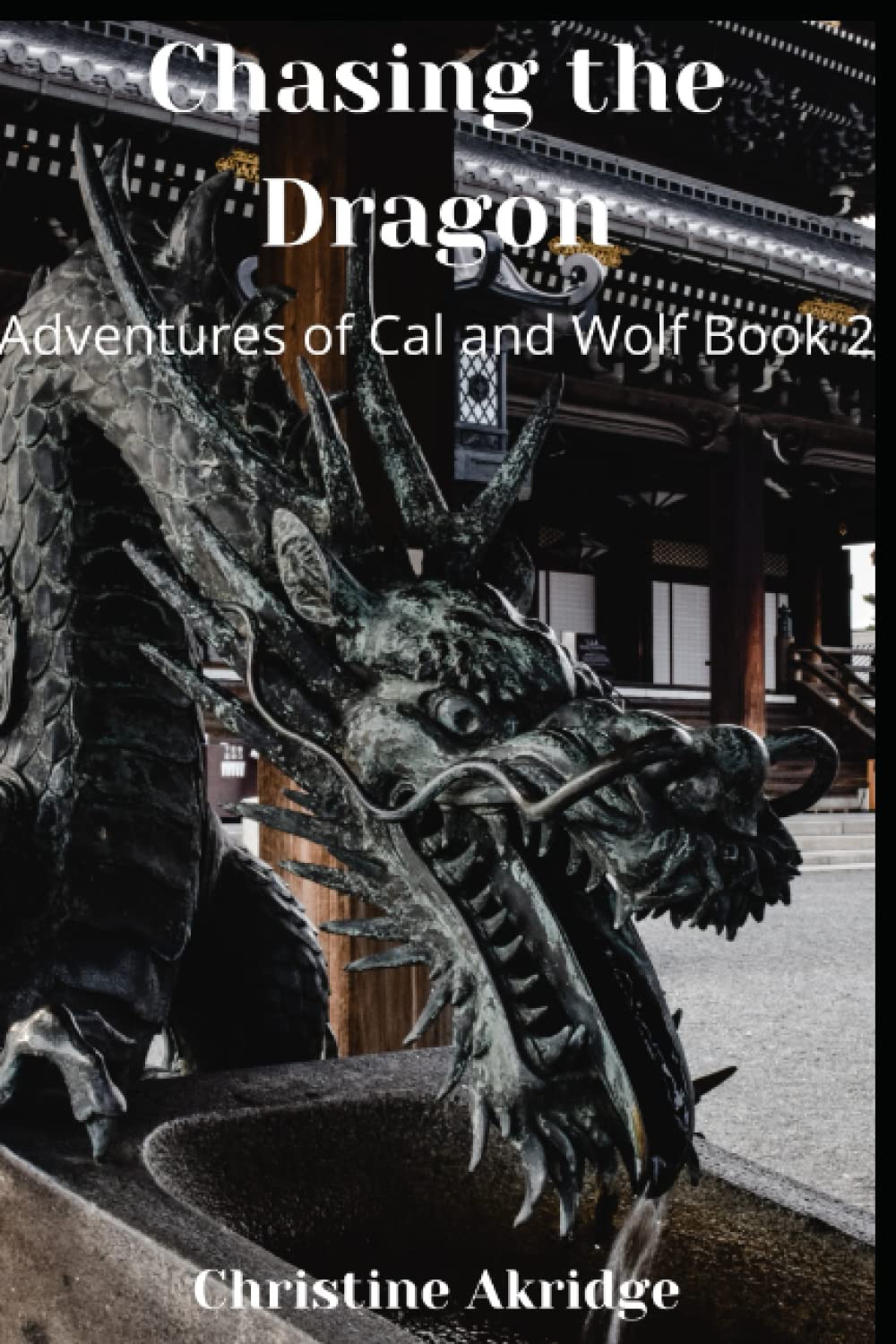 Chasing The Dragon (Adventures of Cal and Wolf) by Christine Akridge ...