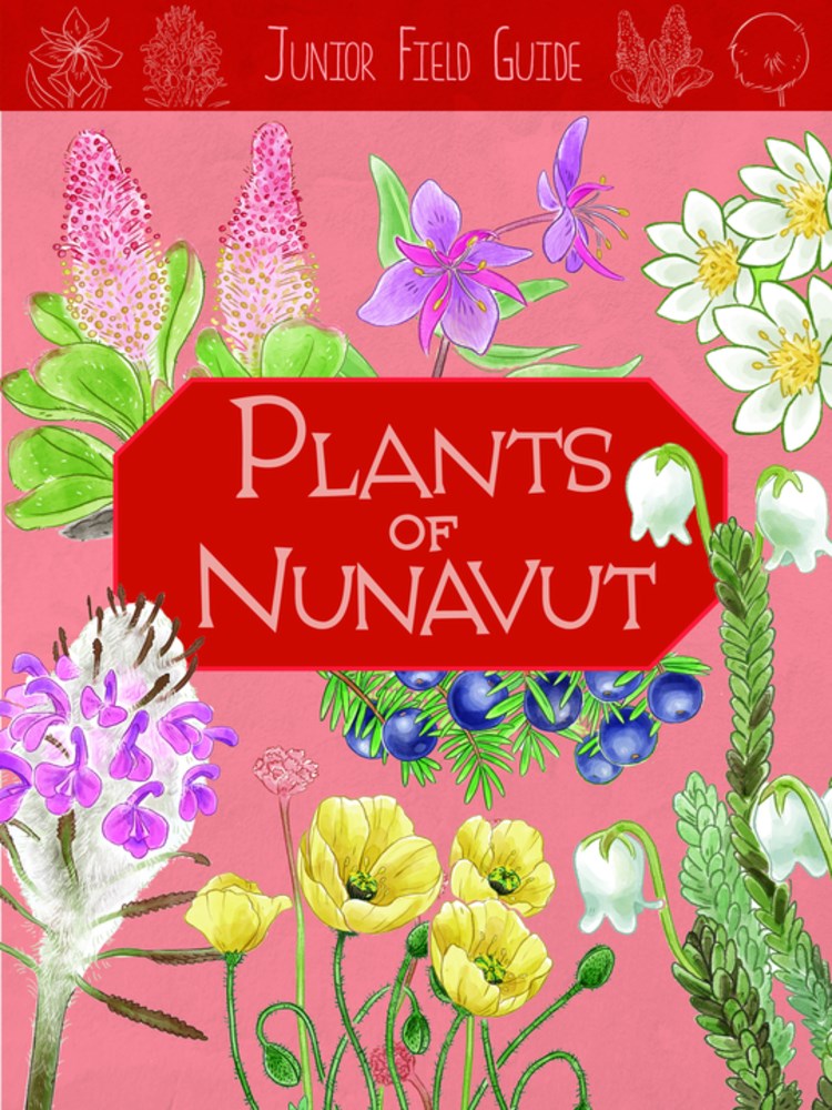 Junior Field Guide: Plants of Nunavut by Carolyn Mallory | Goodreads