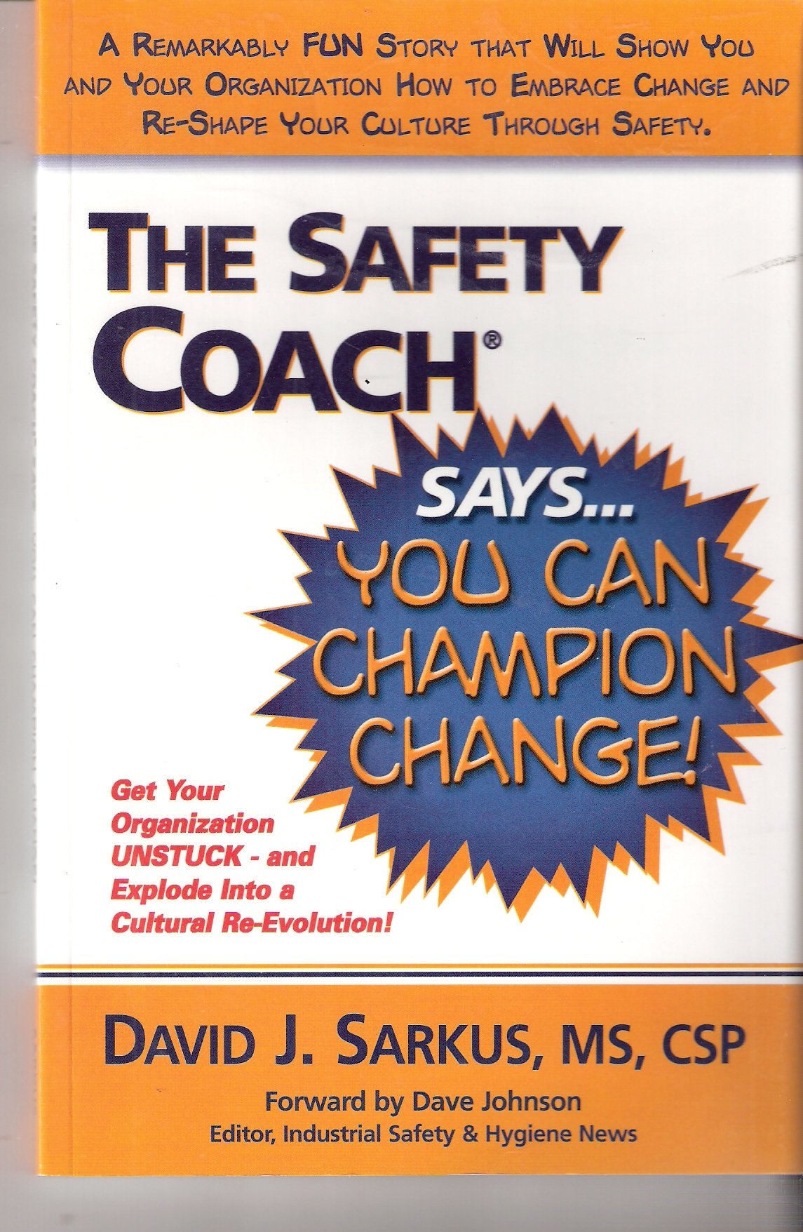 The Safety Coach by David Sarkus | Goodreads
