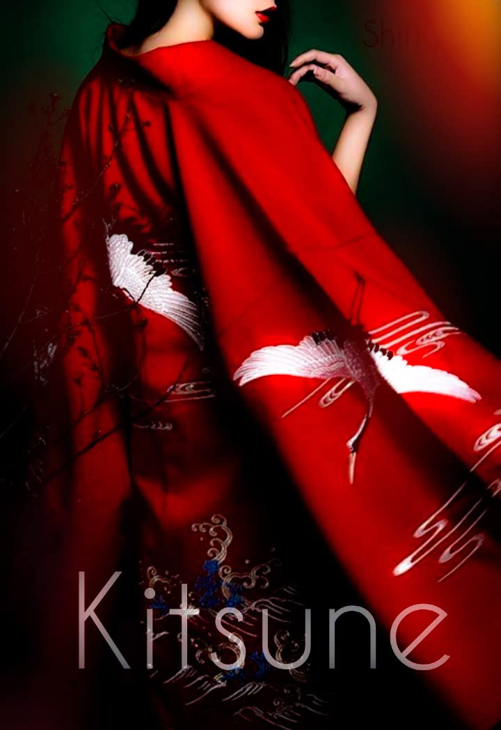 Kitsune: Bride Of The Nine Tailed Fox by Zephra Christian | Goodreads