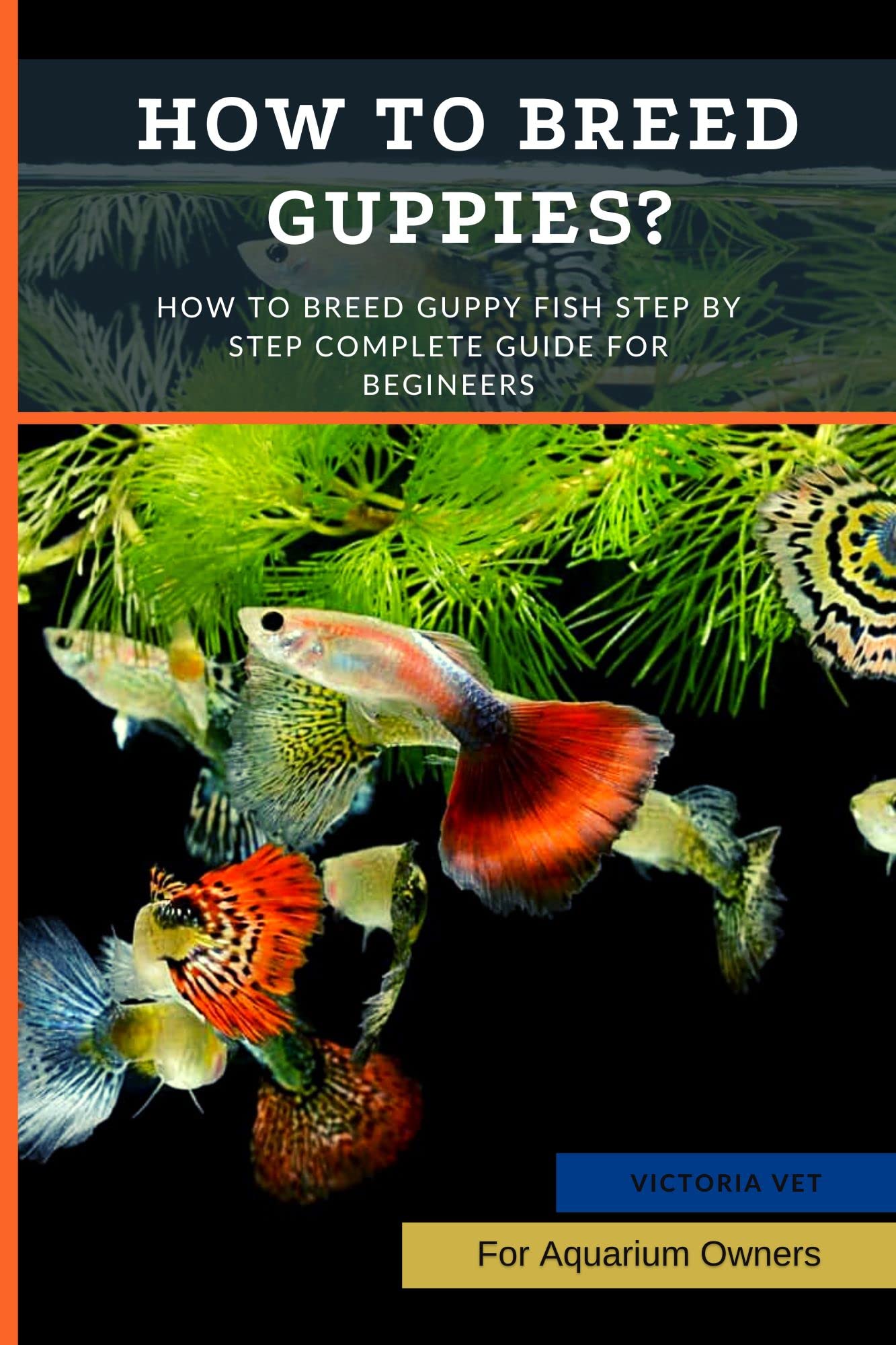 How to Breed Guppies?: How To Breed Guppy Fish Step by Step Complete Guide For Begineers by ...