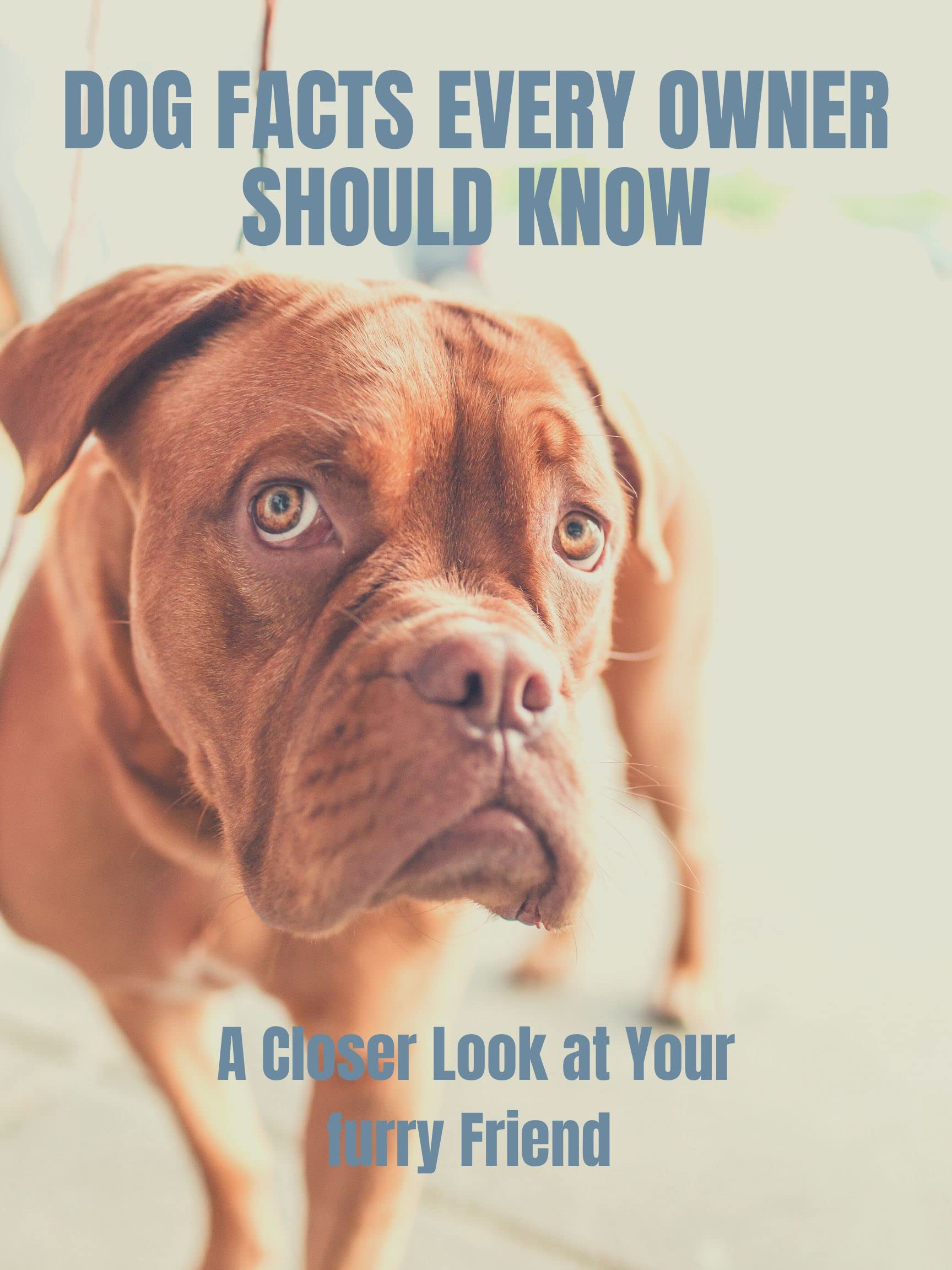 Dog Facts every Owner Should Know: A Closer Look at Your Furry Friend ...