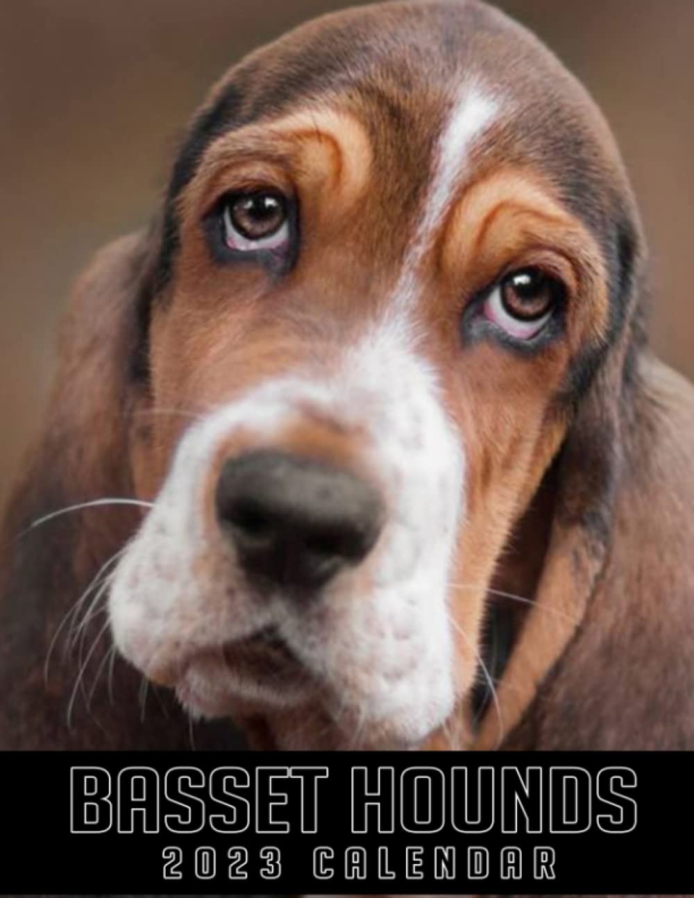 A Photo book Of Basset Hounds: Basset Hounds 2023-2024 Calendar With Compelling & Impressive ...