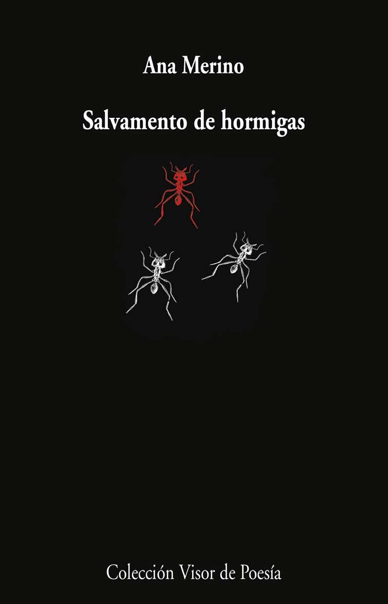 Salvamento de hormigas by Ana Merino | Goodreads