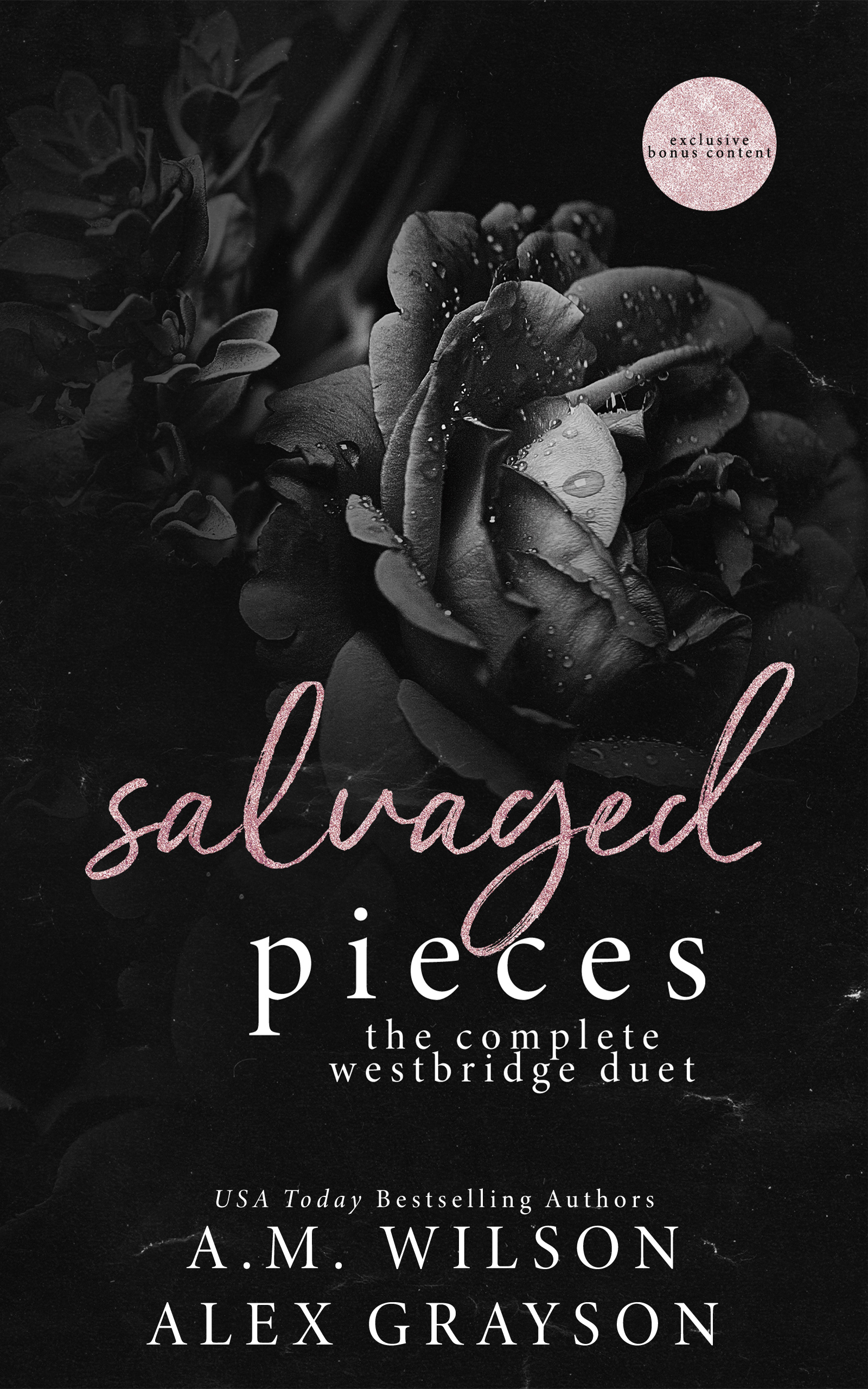 Salvaged Pieces by A.M. Wilson | Goodreads
