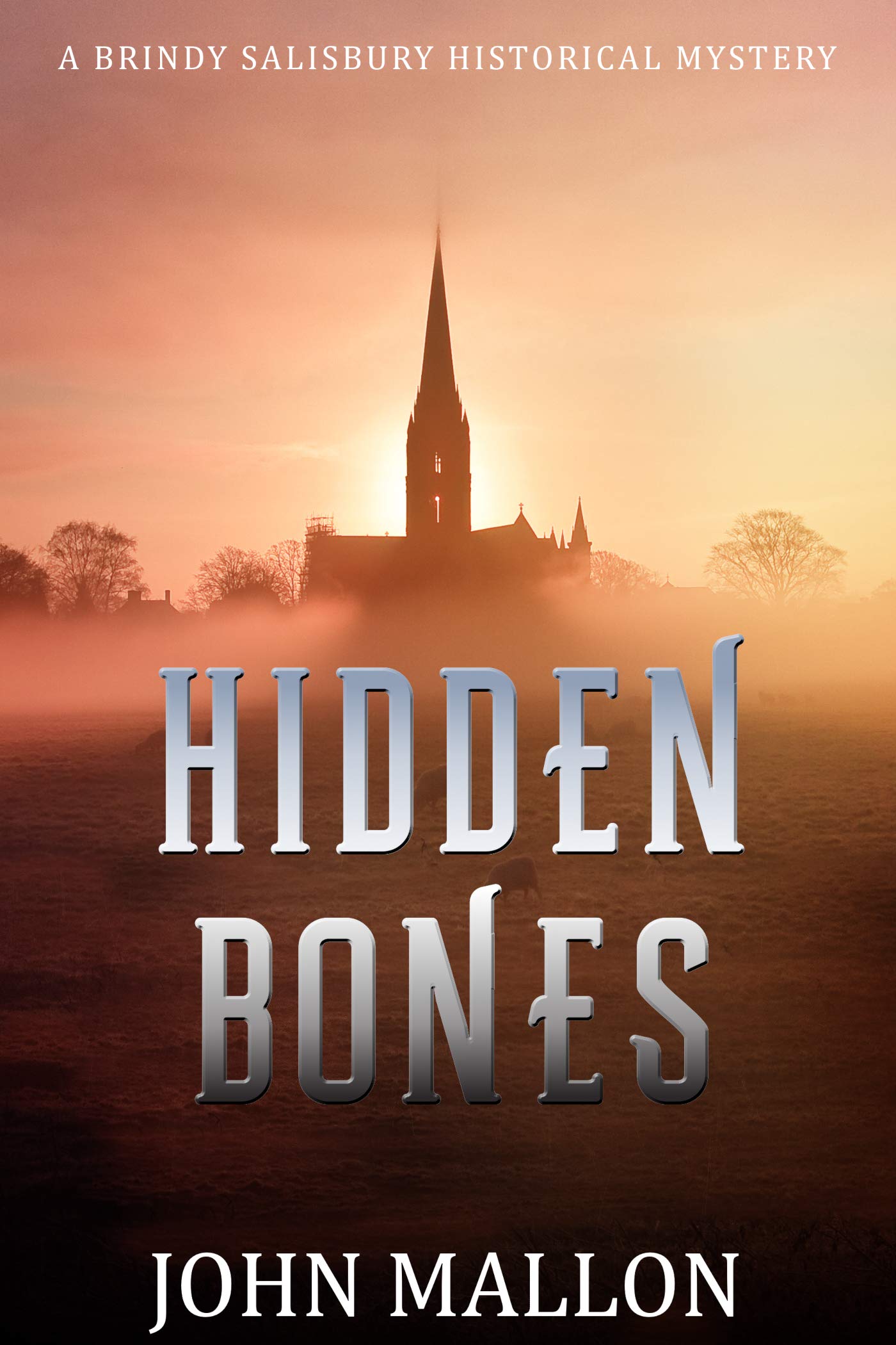 Hidden Bones: A Brindy Salisbury Historical Mystery by John Mallon ...