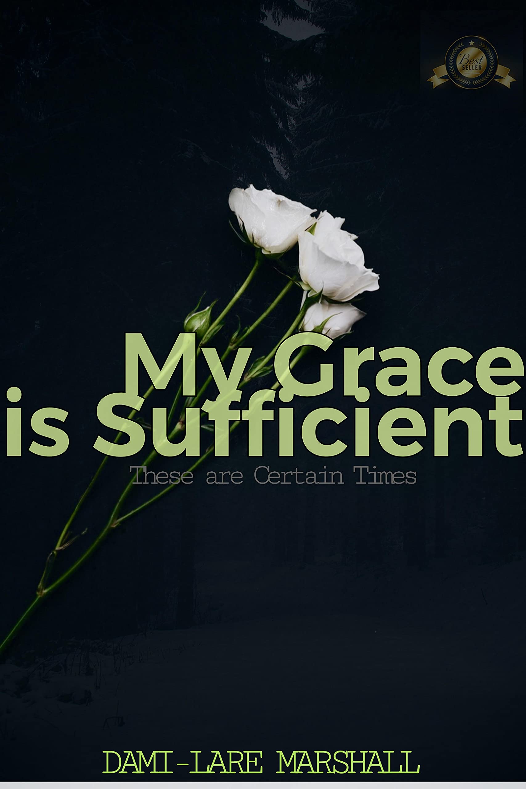 My Grace is Sufficient by Dami-Lare Marshall | Goodreads