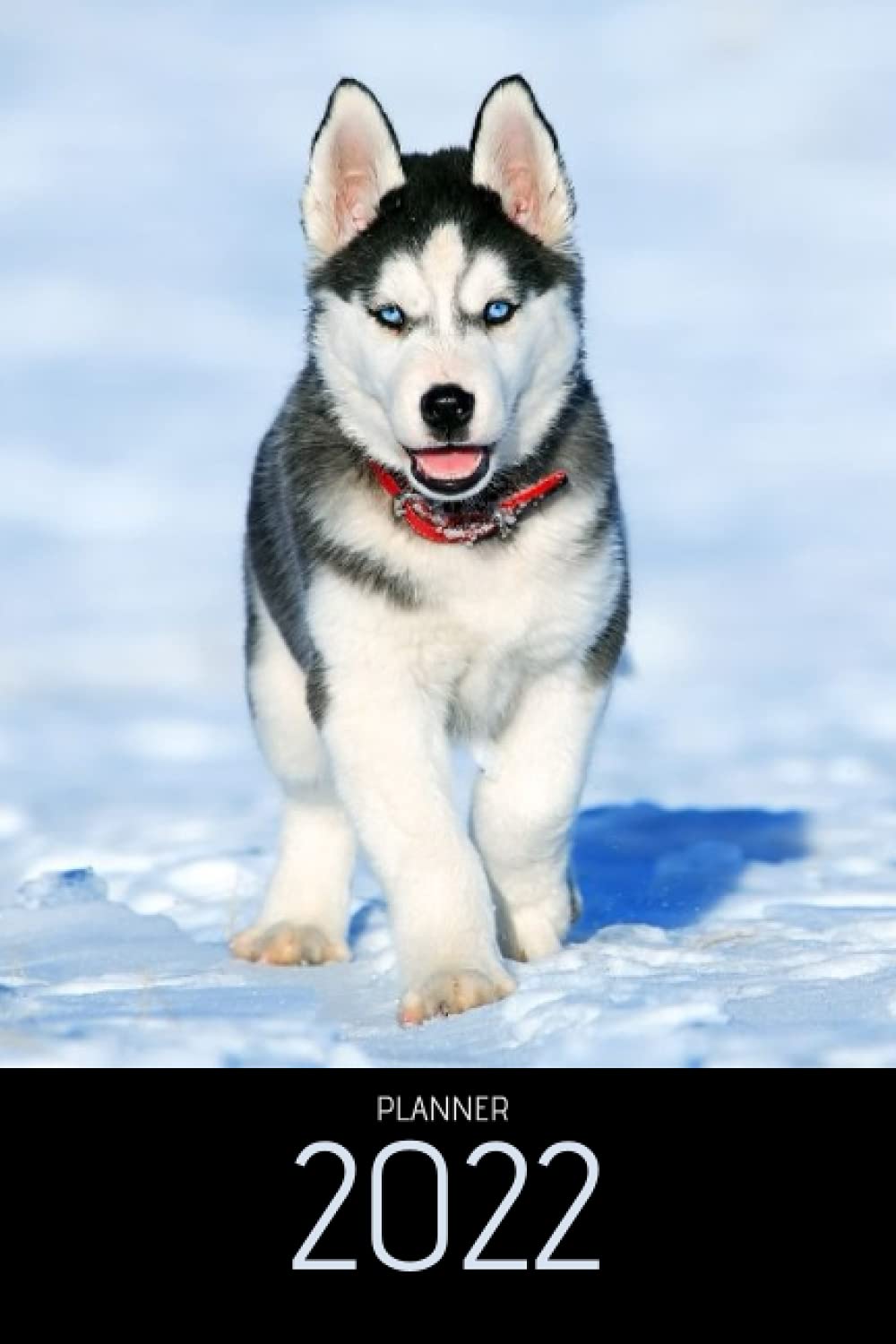 Planner 2022: Weekly, daily, simple planner 2022 with Siberian Husky ...