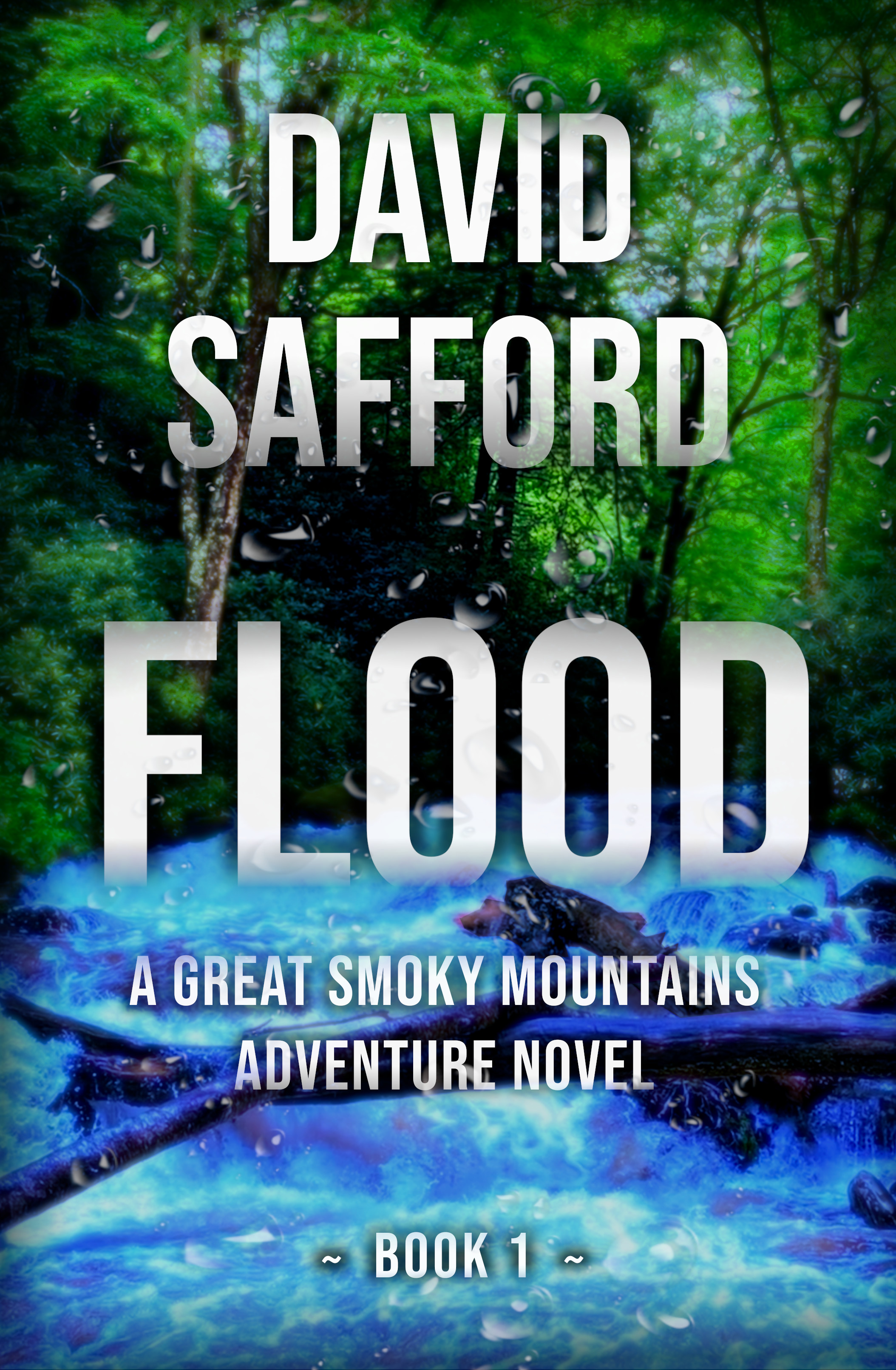 Flood: A Great Smoky Mountains Adventure (Book 1) by David Safford ...