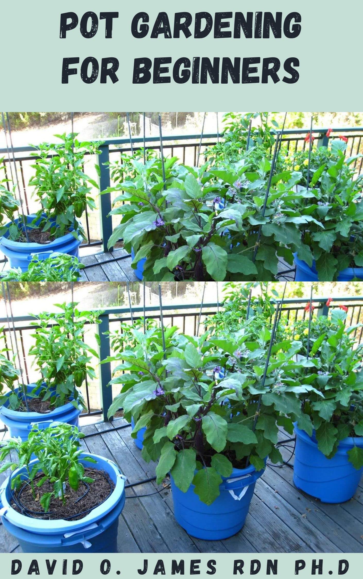 POT GARDENING FOR BEGINNERS: Essential Guide To Growing A Bounty Of ...