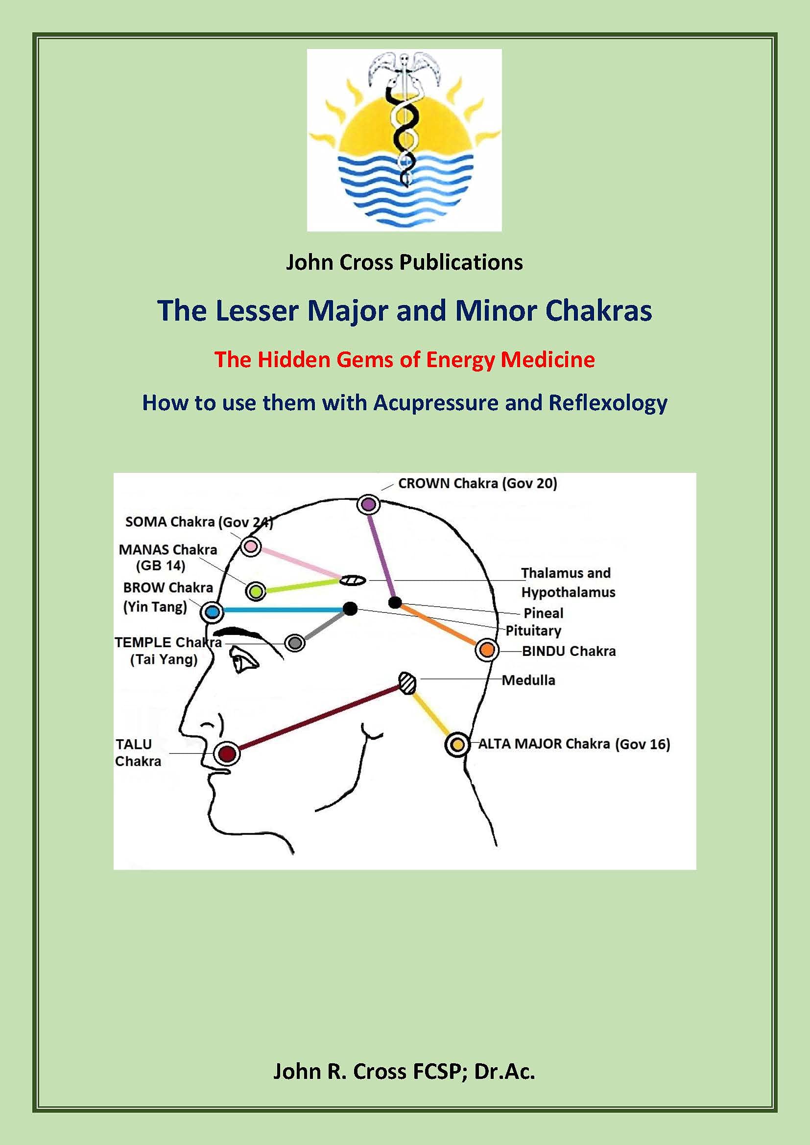 The Lesser Major and Minor Chakras - The Hidden Gems of Energy Medicine ...